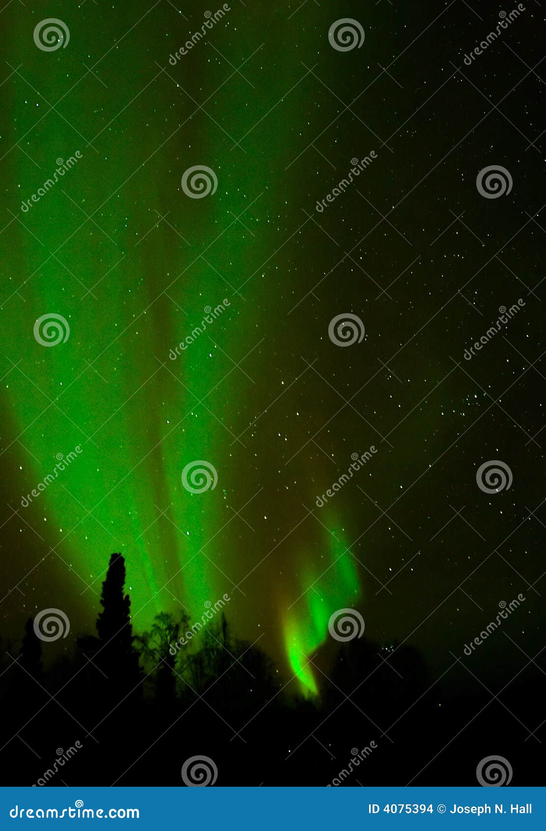 Aurora - Tall Soft Ribbons stock photo. Image of borealis - 4075394
