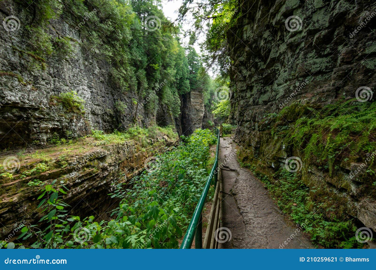 AuSable Chasm Rock Formation Stock Image - Image of gorge, ledges ...