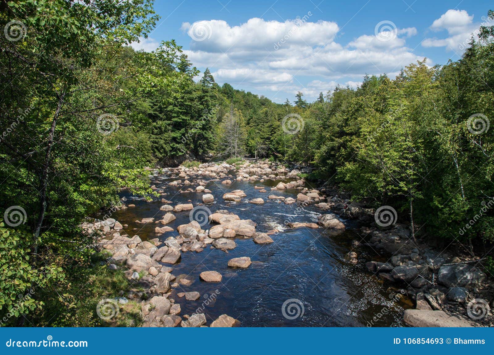 AuSable River stock image. Image of moss, scenery, hiking - 106854693