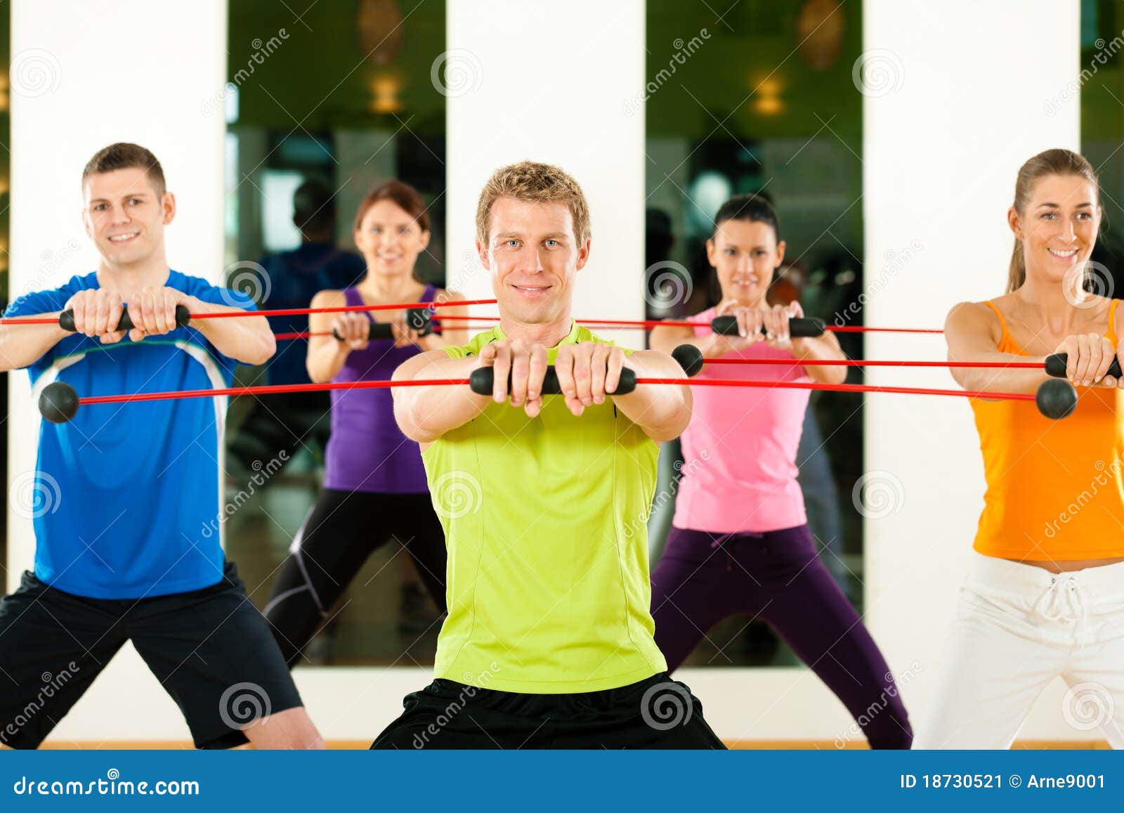 Ausbildung mit flexi Stab stockbild. Bild von stab, paare - 18730521