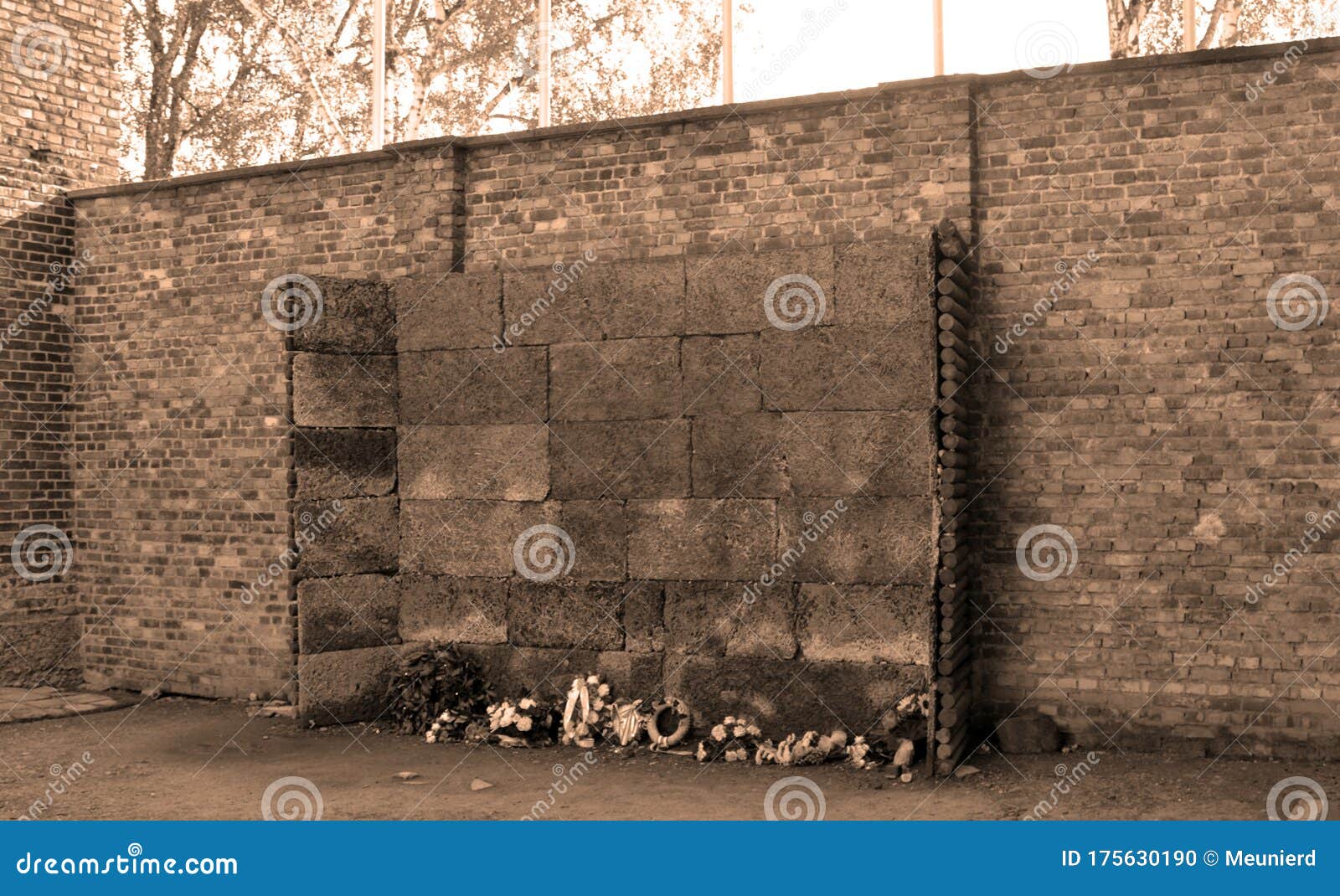 : Auschwitz Concentration Camp Execution Wall Editorial Image - Image ...