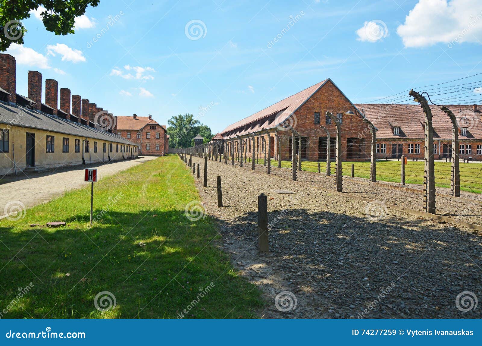 Auschwitz Death Camp Editorial Photo | CartoonDealer.com #74277259