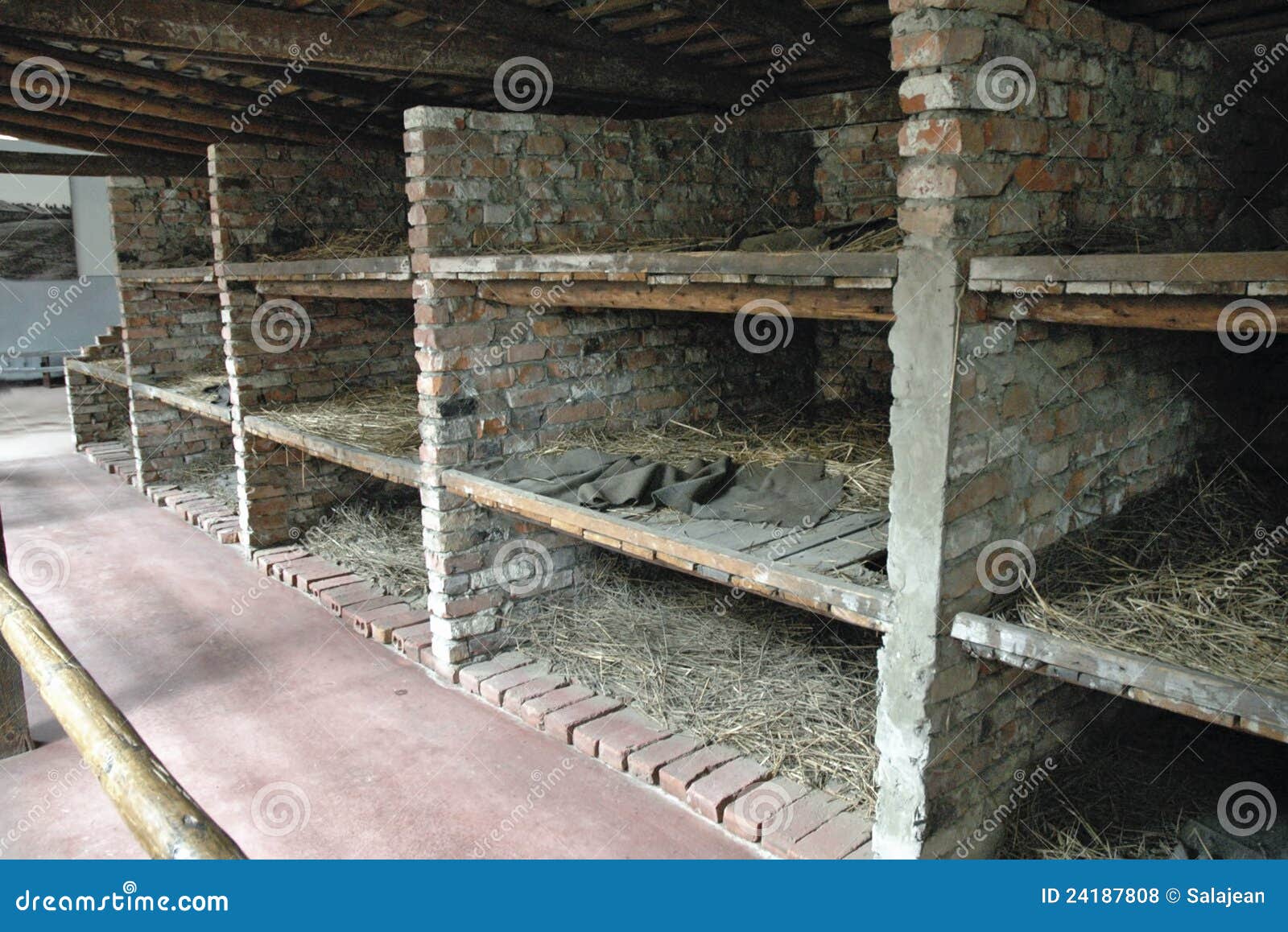 Auschwitz, Il Museo Dell'olocausto Fotografia Stock Editoriale ...