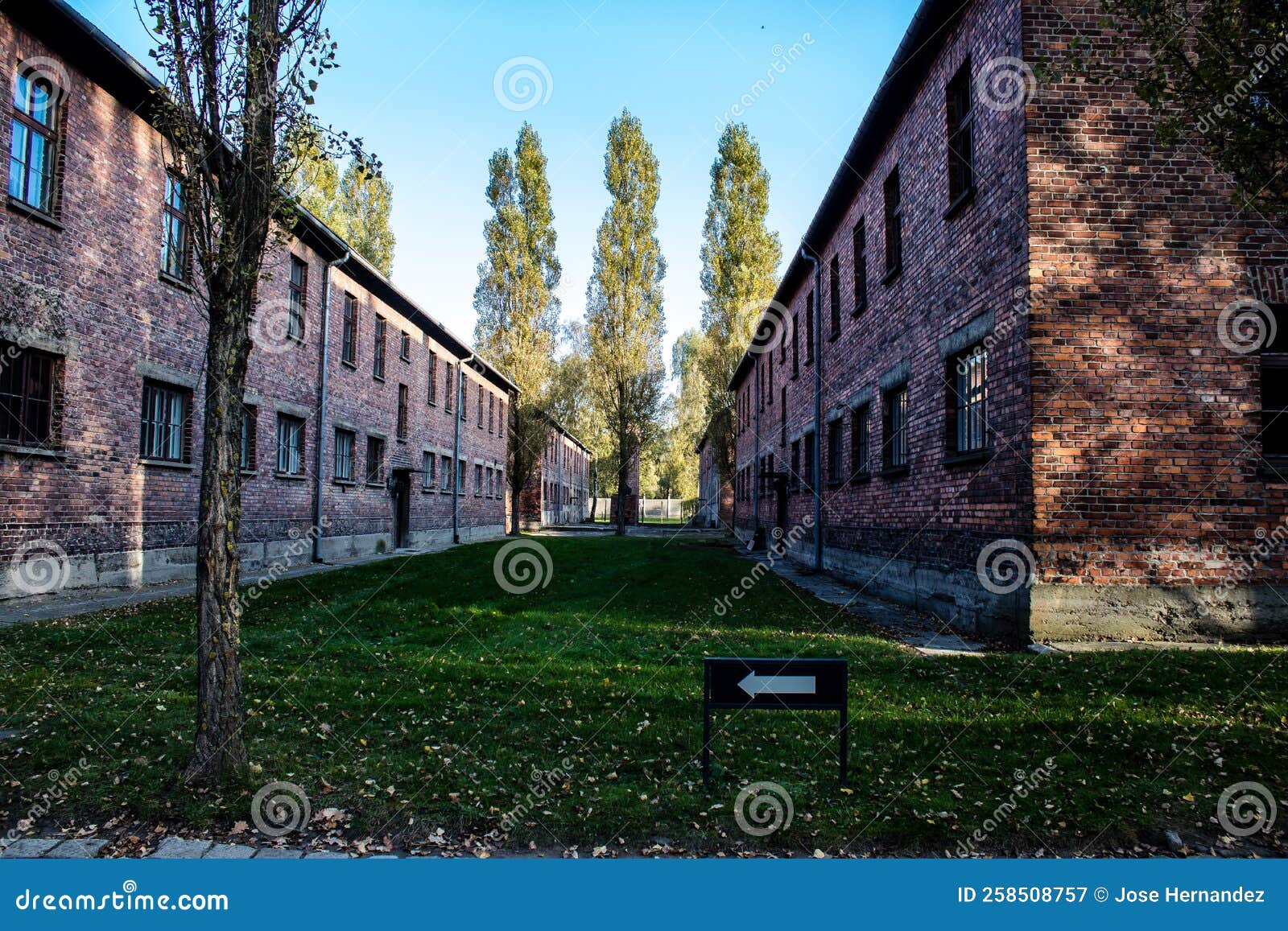 Auschwitz, the Largest Concentration Camp Complex in the Third Reich ...