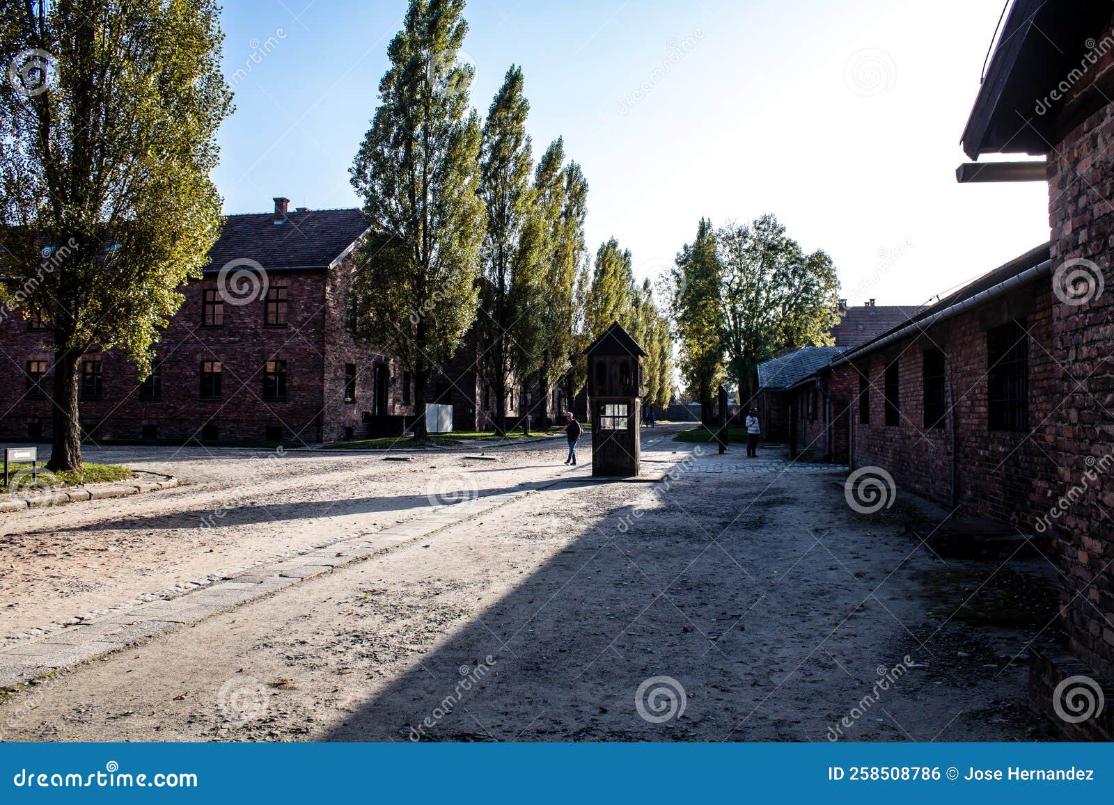 Auschwitz, the Largest Concentration Camp Complex in the Third Reich ...