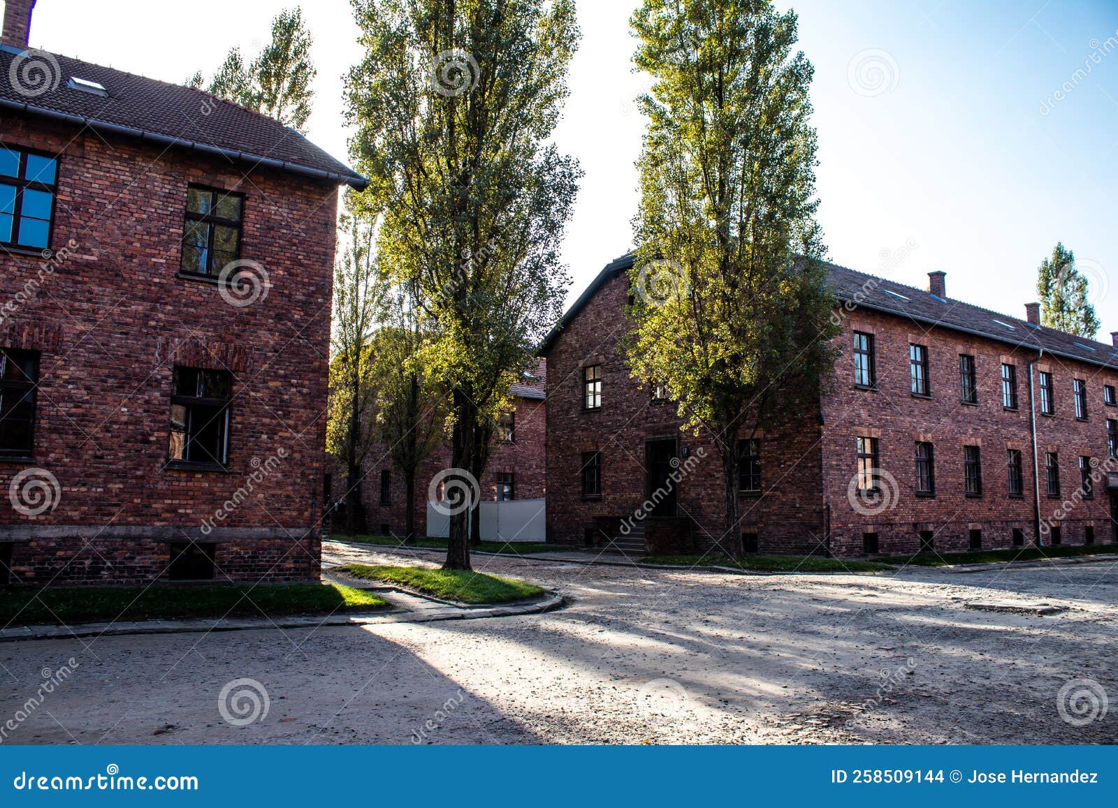 Auschwitz, the Largest Concentration Camp Complex in the Third Reich ...