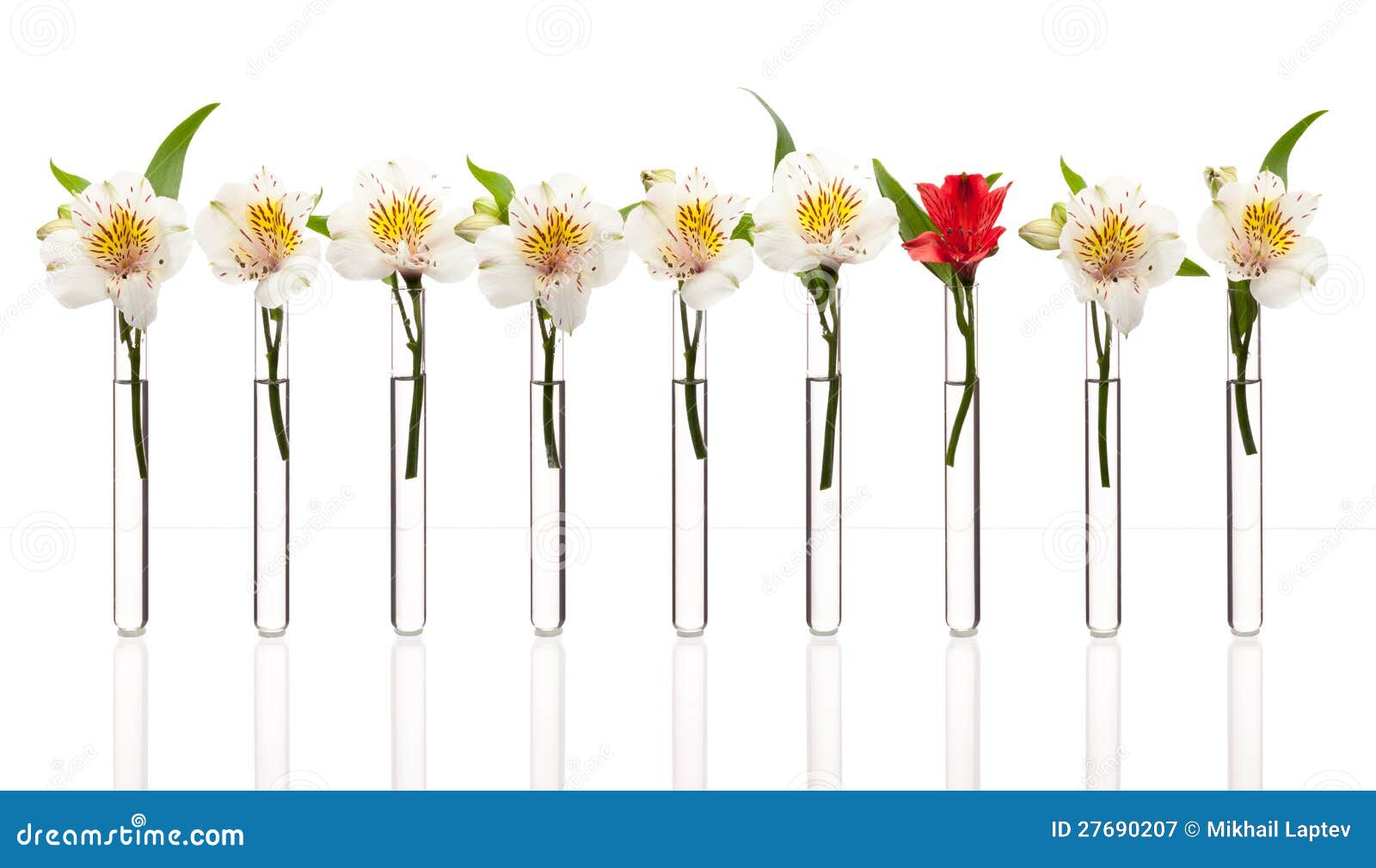 Ausnahme stockbild. Bild von chemikalie, entwicklung - 27690207