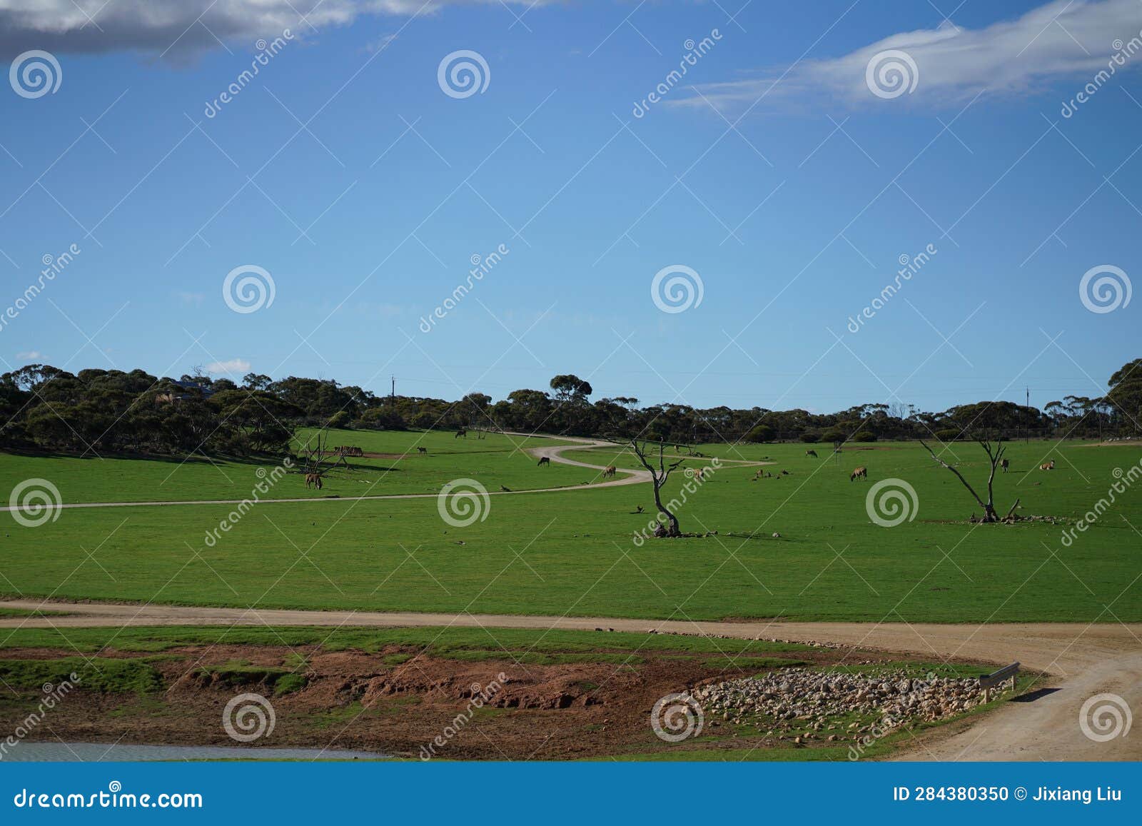 Aussie Park View of Wide Open Space Stock Photo - Image of golfing ...