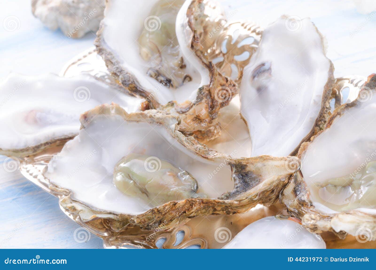 Auster foto de stock. Imagem de ostras, caro, macro, coma - 44231972