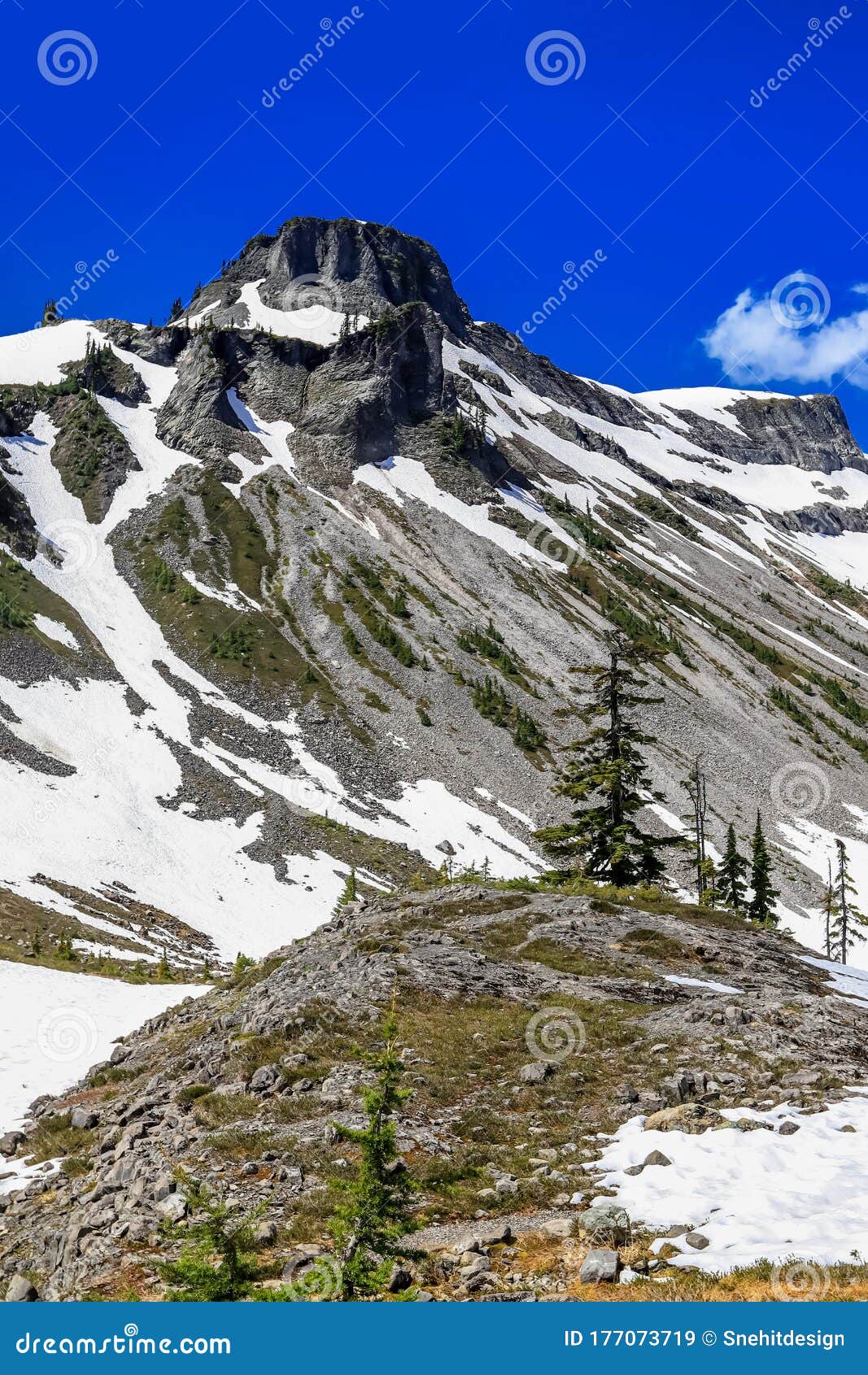 Austin Pass in Mount Baker National Park Stock Image - Image of alpine ...