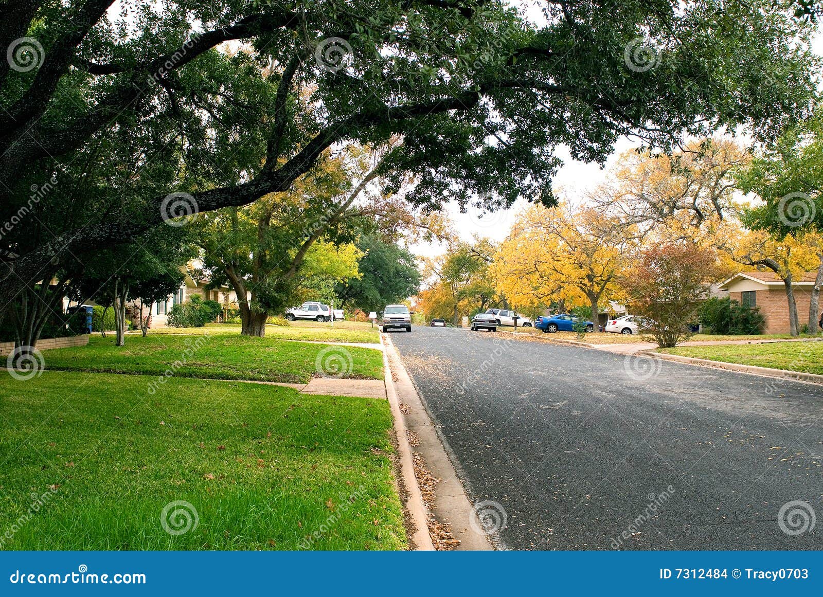 Austin s Autumn stock photo. Image of resident, colorful - 7312484