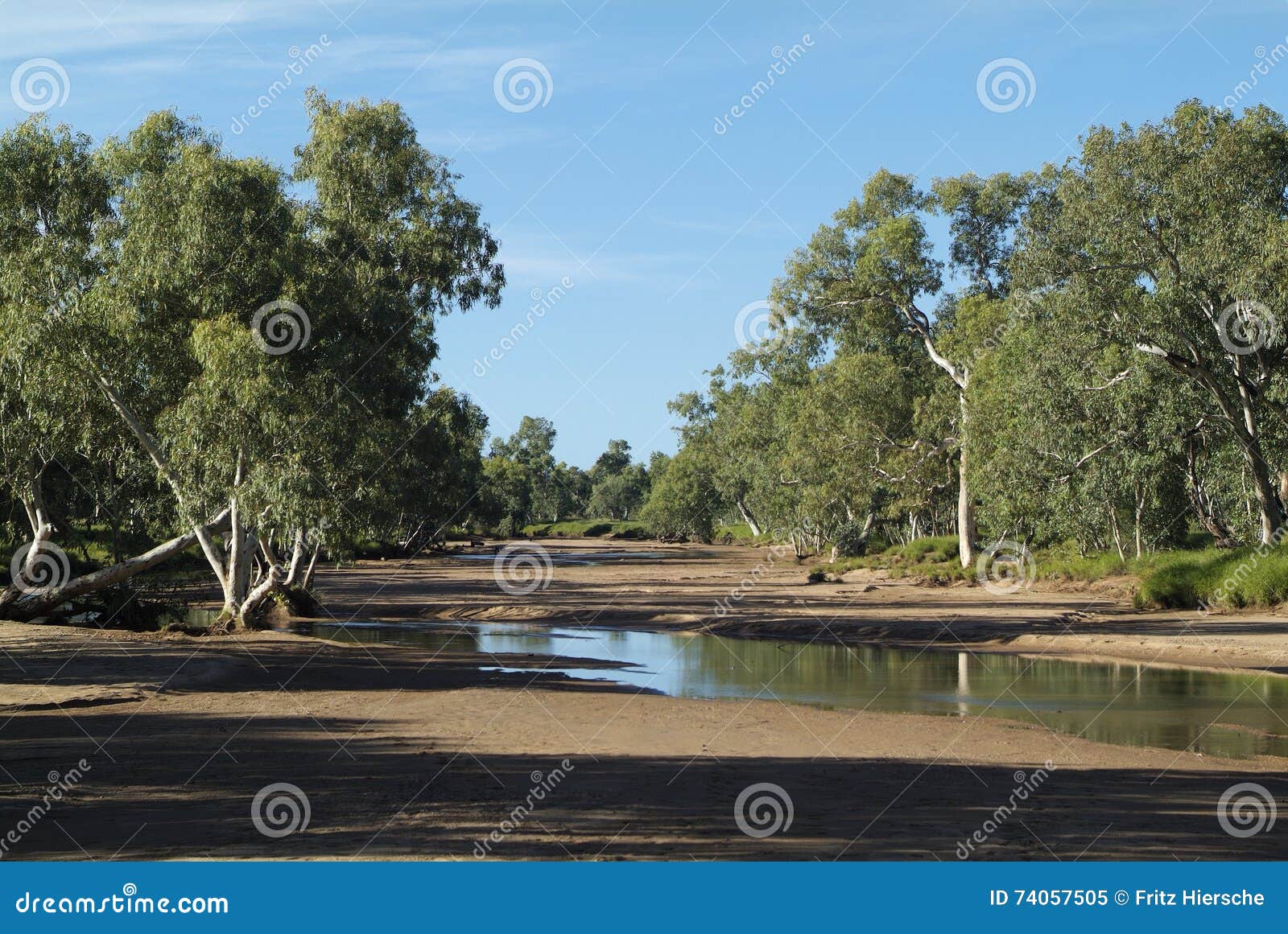 Australia, Alice Springs stock image. Image of eukalyptus - 74057505