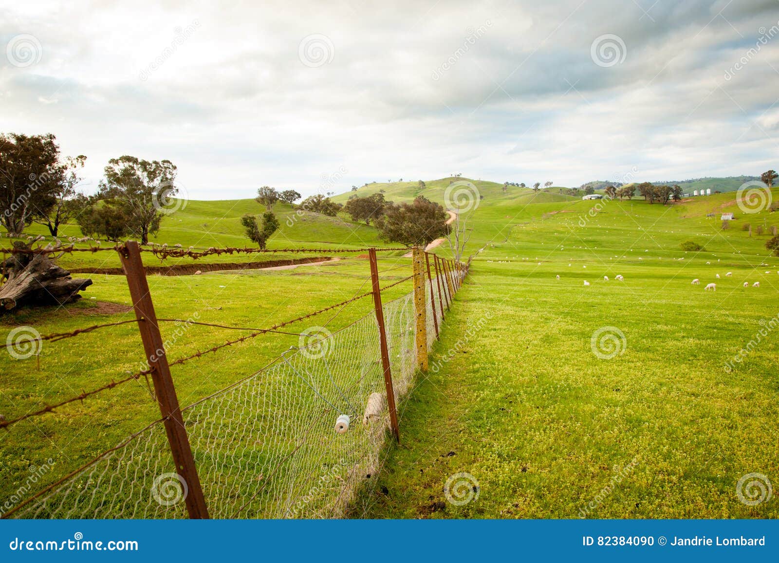 Australia stock photo. Image of sunrise, hills, country - 82384090