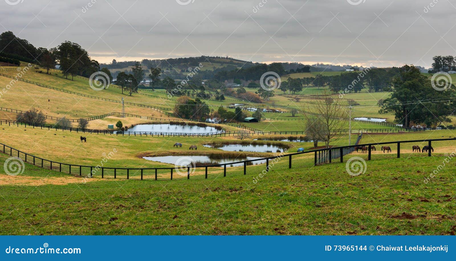 Australia countryside stock photo. Image of pasture, scenery - 73965144