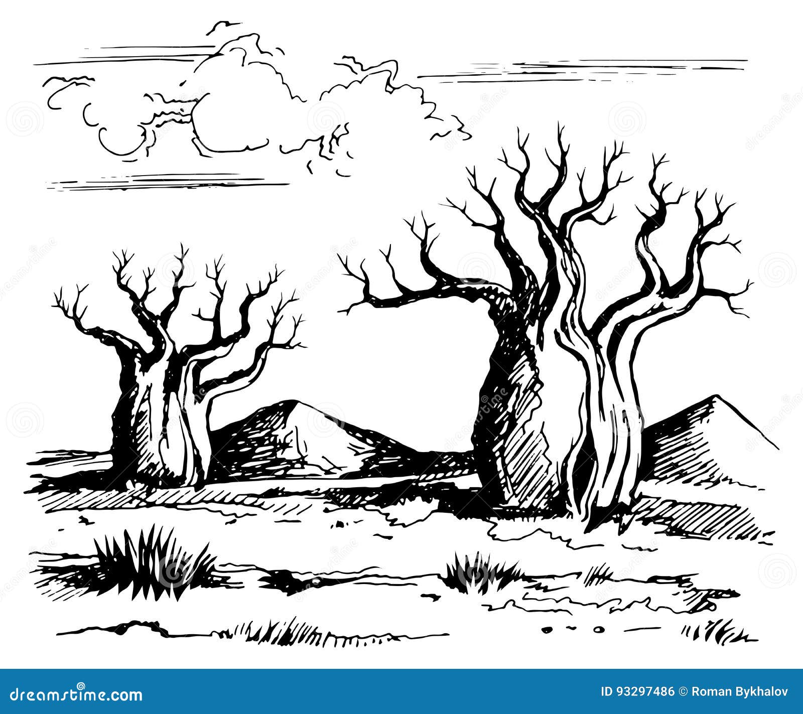 Australia Landscape with Baobab Trees Stock Vector - Illustration of ...