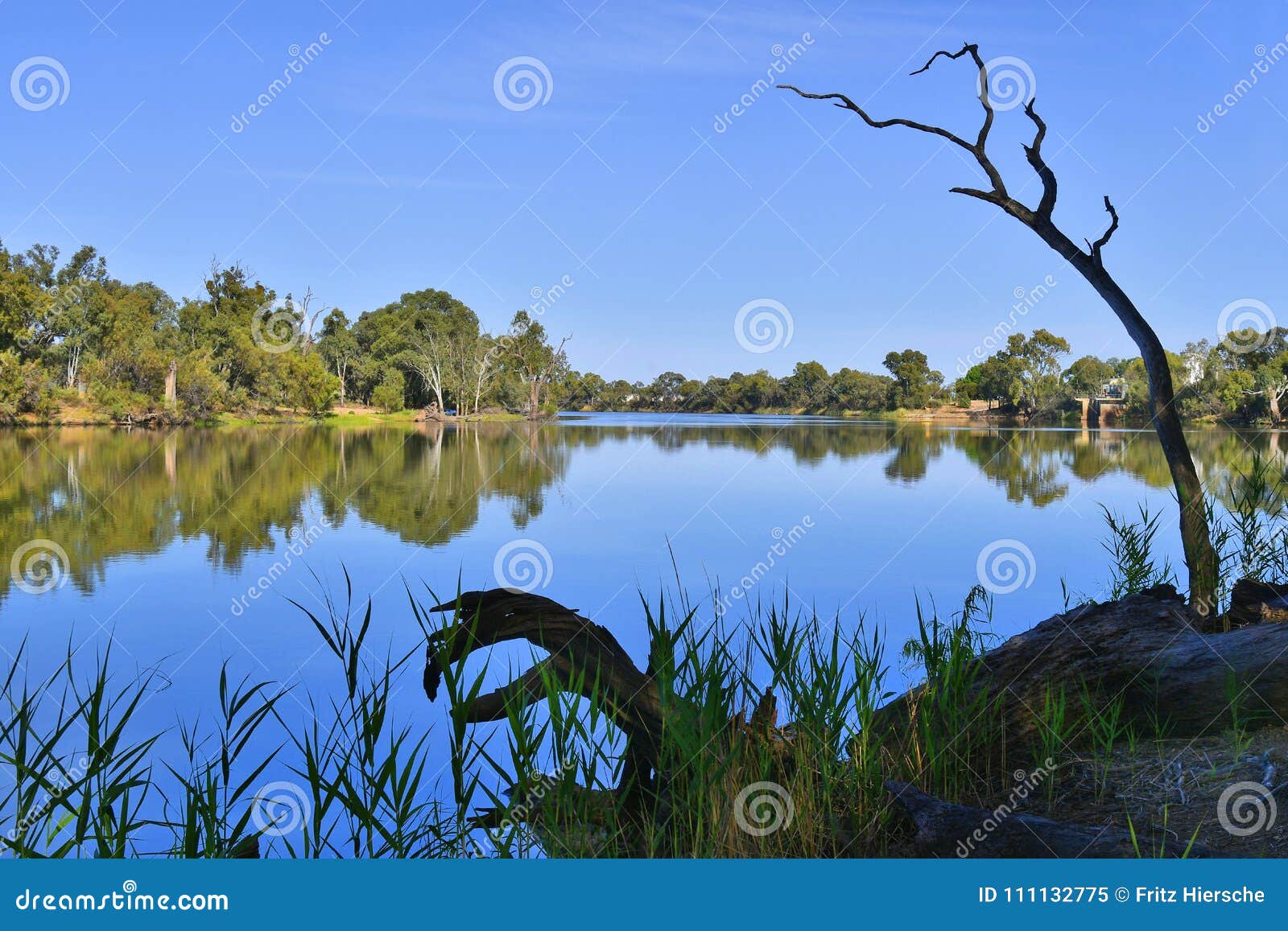 Australia, NSW, Curlwaa, Murray River Imagen de archivo - Imagen de ...