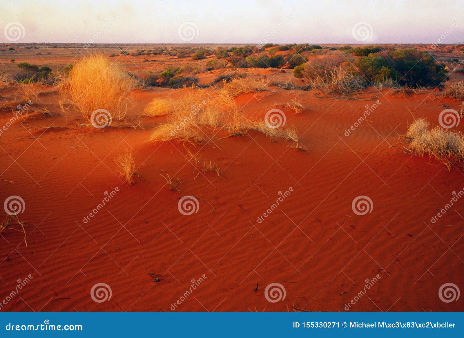 Australia: Off Road Trip through the Outback Stock Image - Image of ...