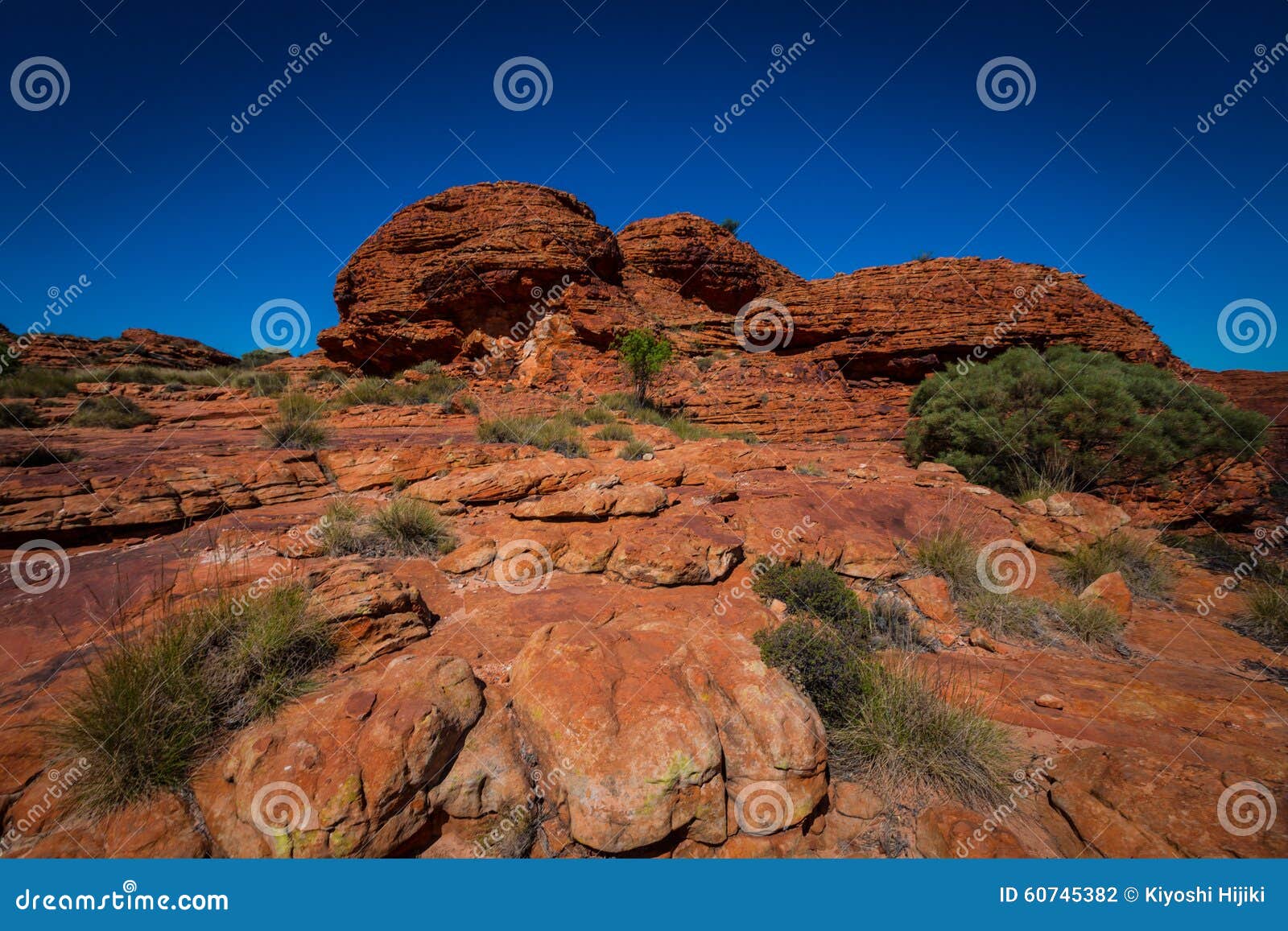 Australia Outback Landscape View Stock Photo - Image of australia ...
