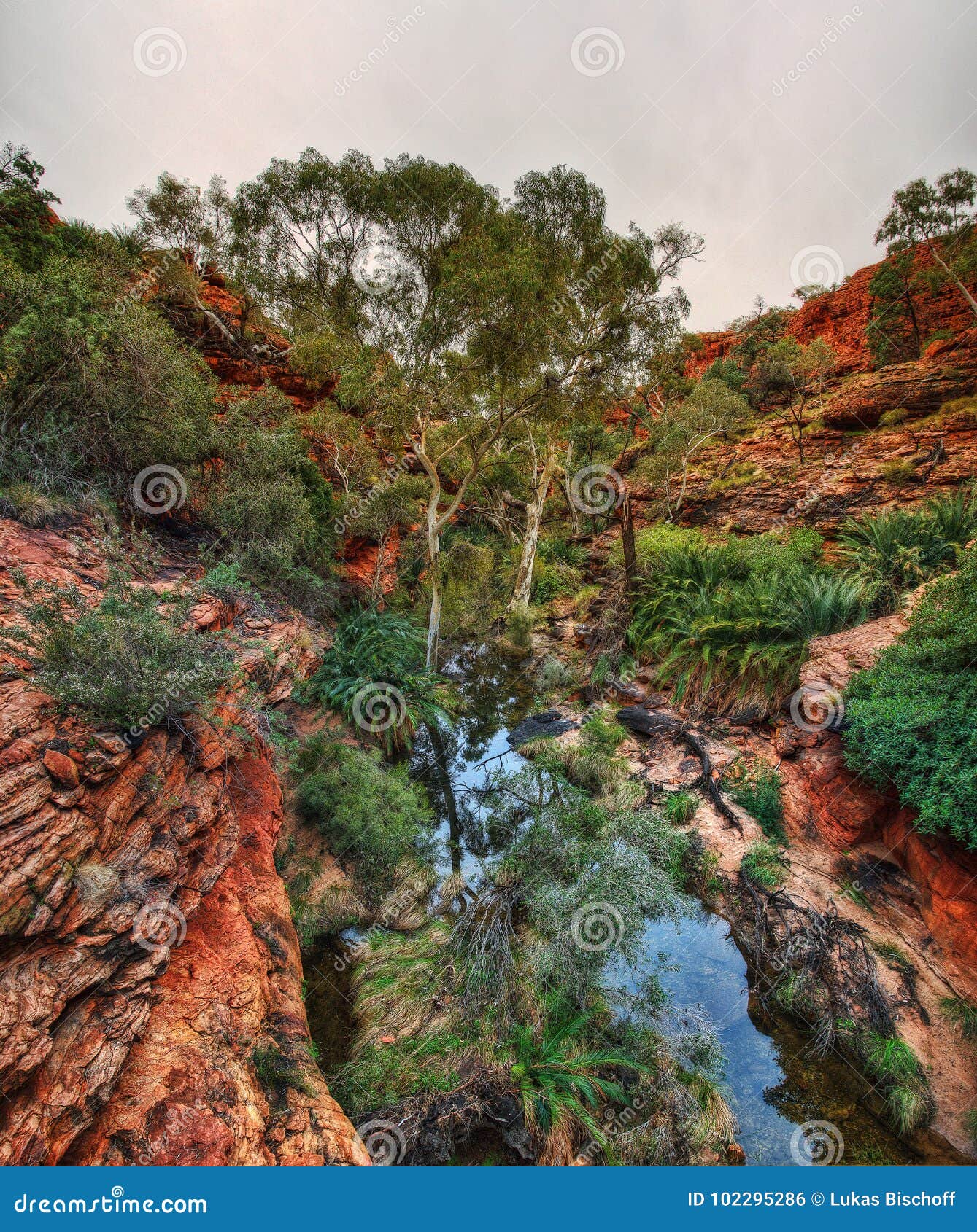 Australia Outback stock photo. Image of outback, landscape - 102295286