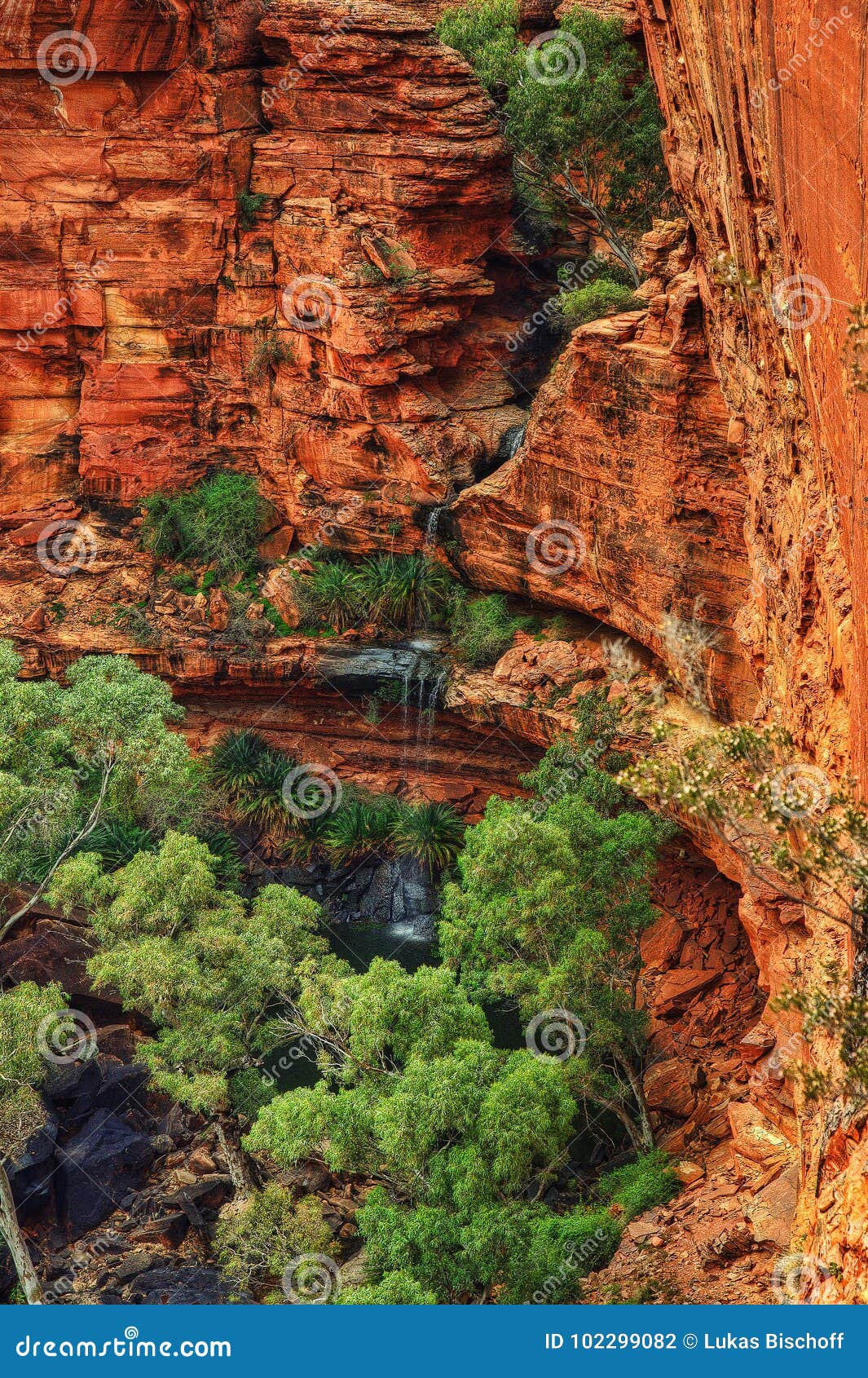 Australia Outback stock photo. Image of orange, beautiful - 102299082