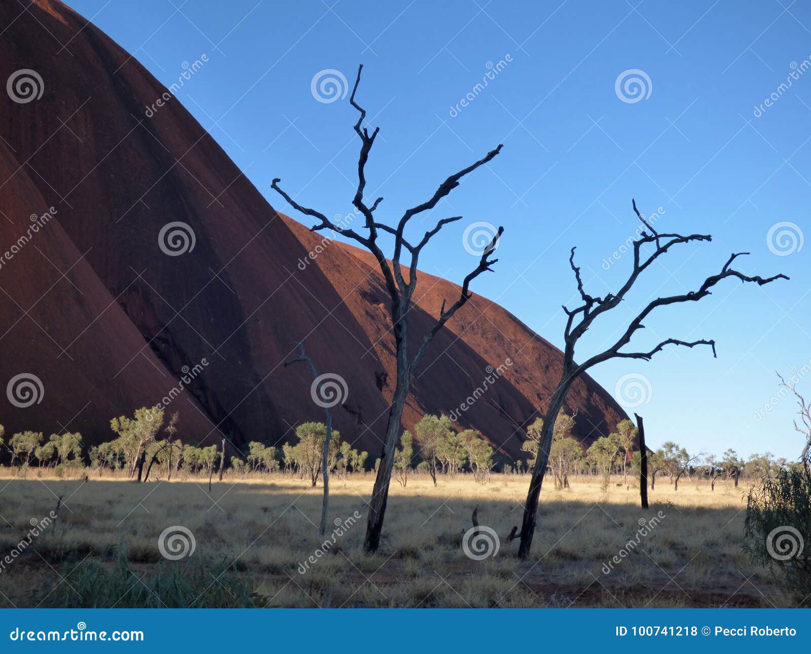 Australia, outback, Uluru editorial stock photo. Image of cavity ...