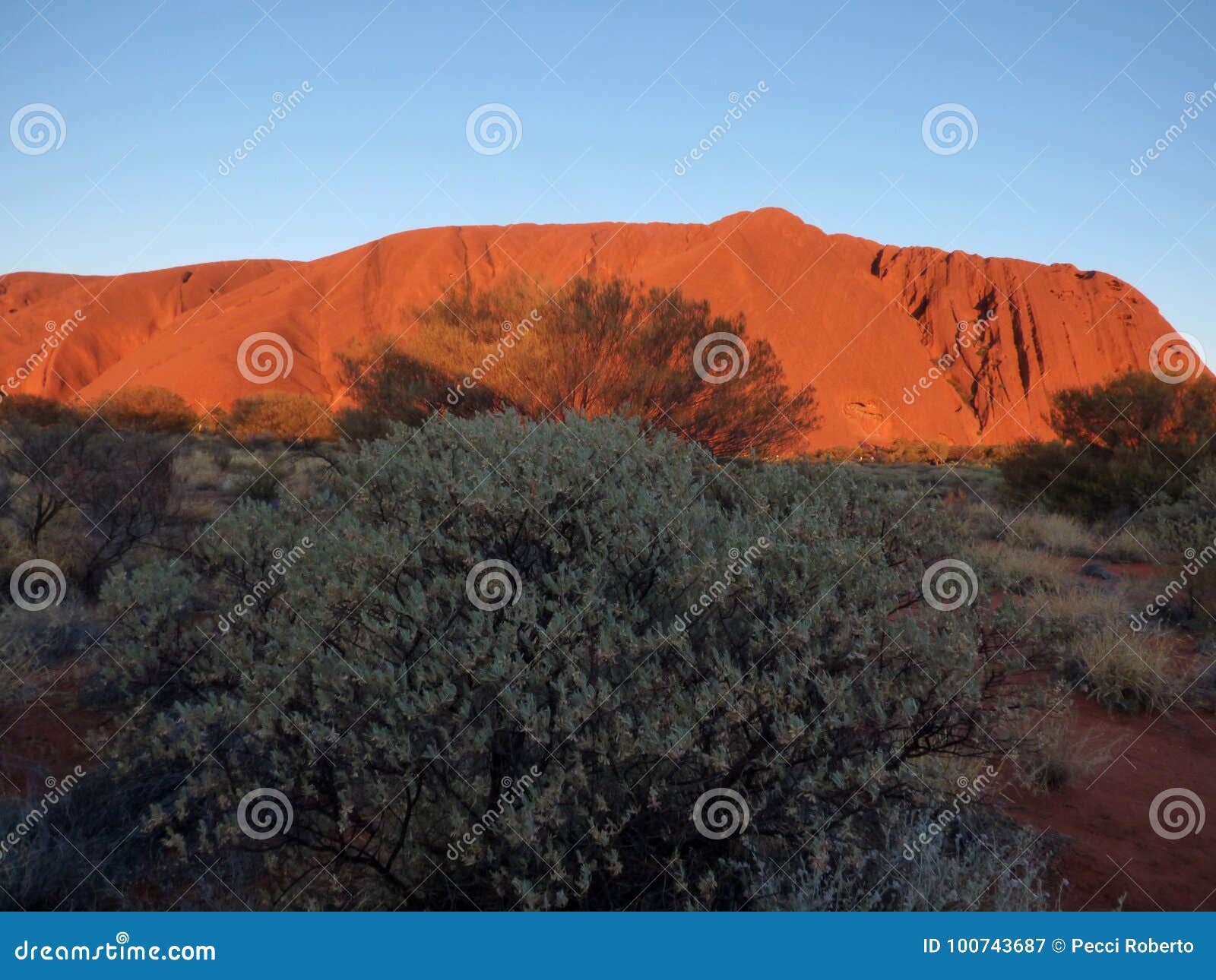 Australia, outback, Uluru editorial photography. Image of tjuta - 100743687