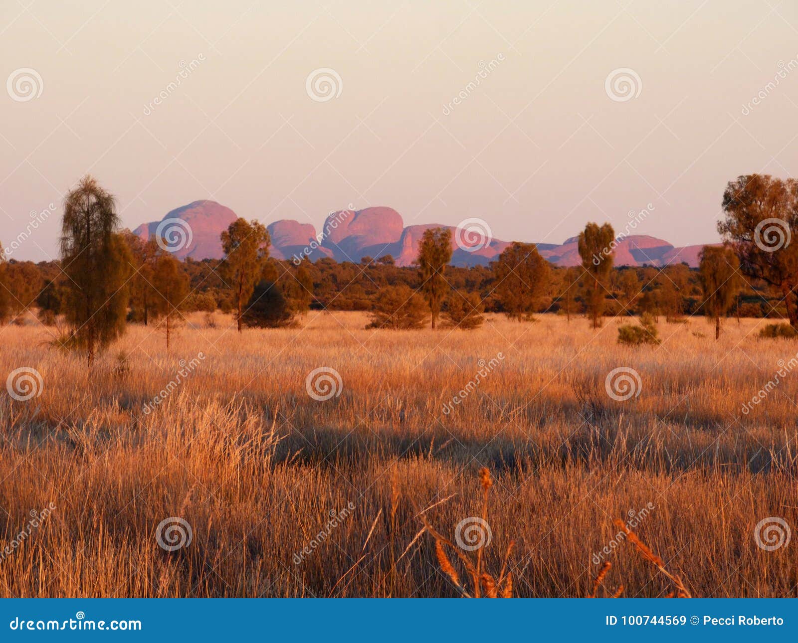 Australia, outback, Uluru editorial stock image. Image of rock - 100744569