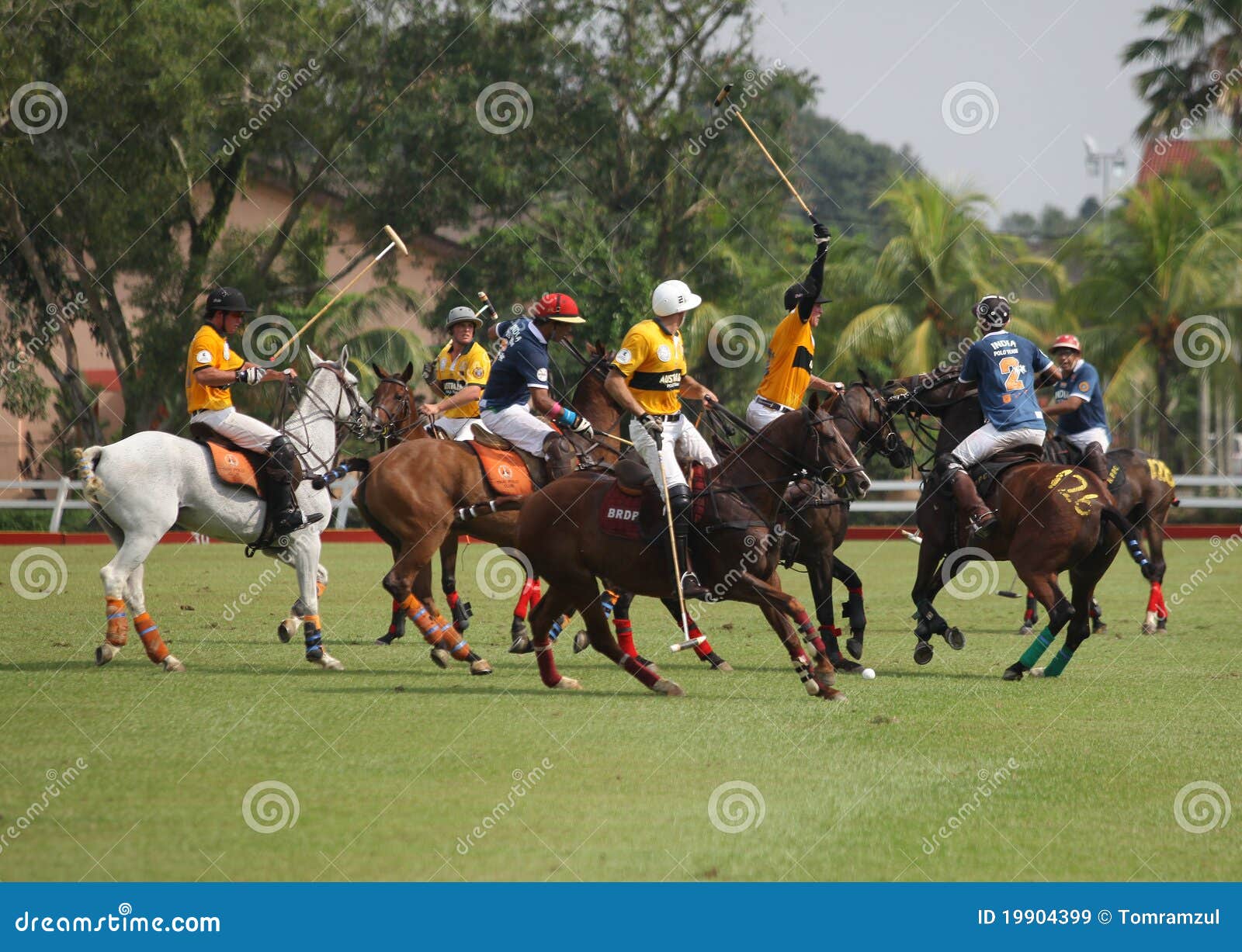 Australia Polo Vs India Polo Editorial Stock Image - Image of equine ...