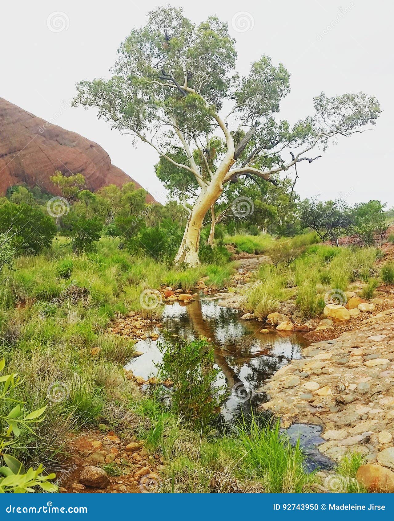 Australia& X27;s Outback Stock Photo - Image of outback, lake: 92743950