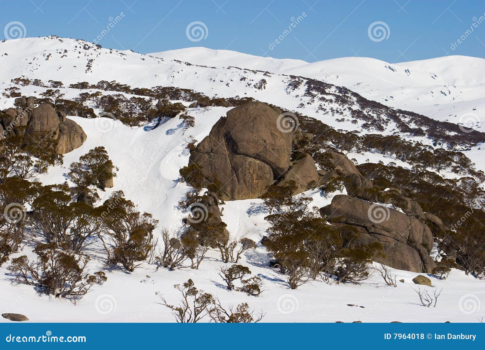 Australia S Snowy Mountains Stock Photo - Image of boulder, ridge: 7964018