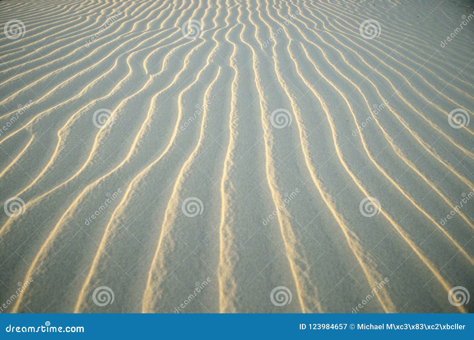 Australia: the Structure of the Sand in the Victoria-desert Made Stock ...