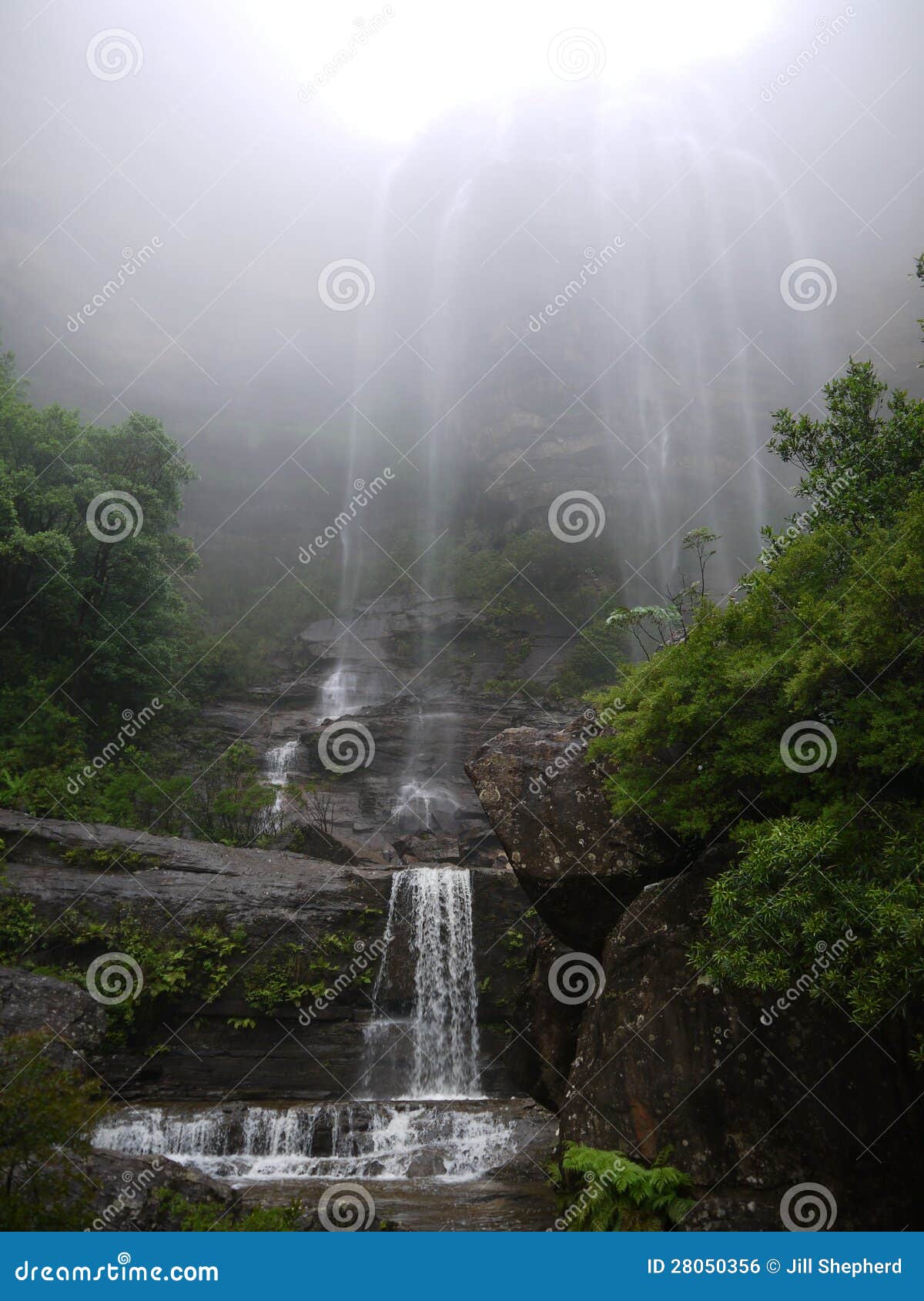 Australia: Blue Mountains Waterfall in Mist Stock Photo - Image of ...