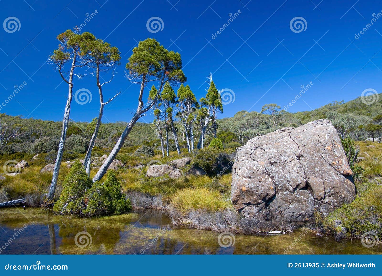 Australian Alpine Plateau stock image. Image of field - 2613935