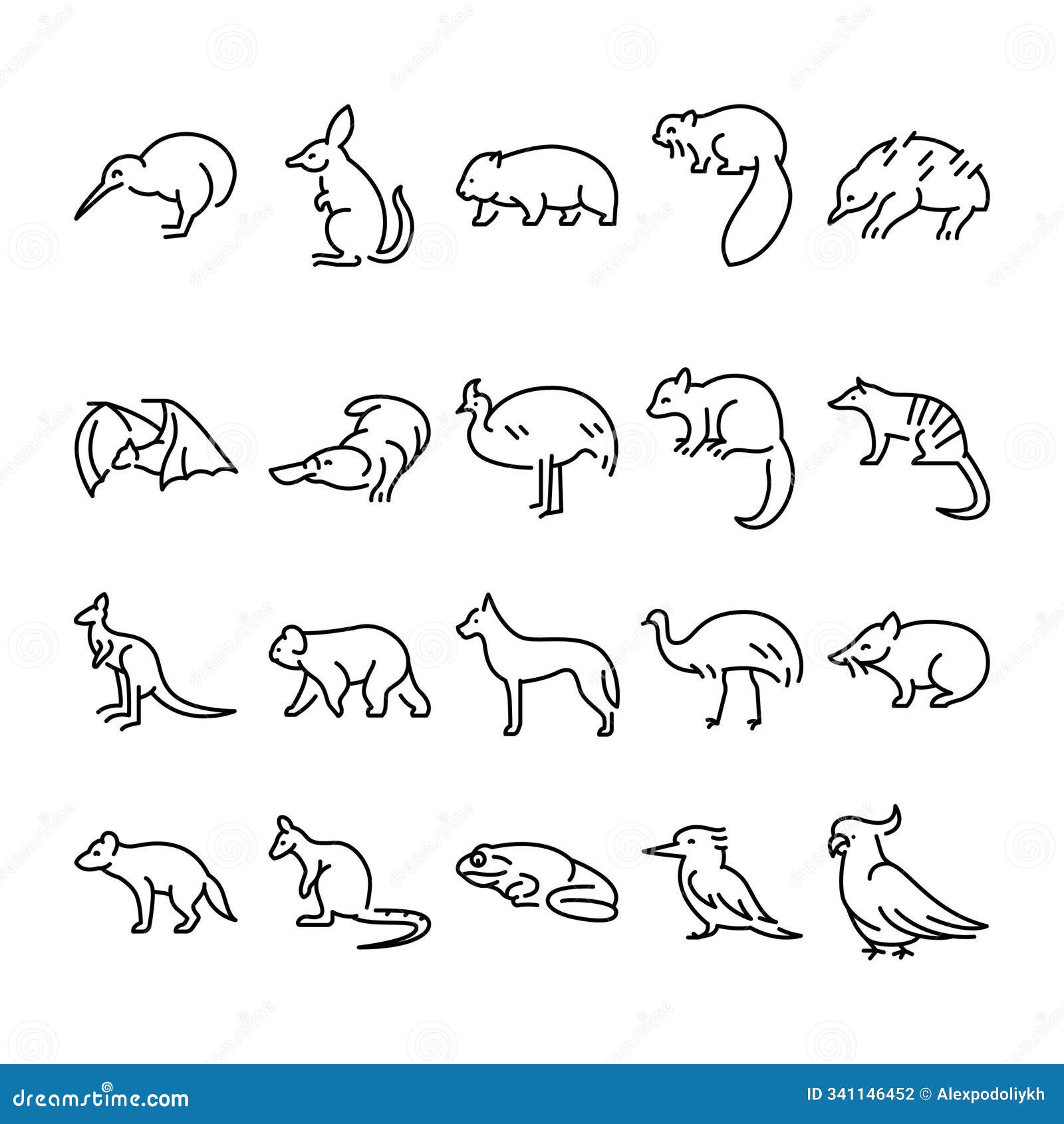 Australian Kuzu Color Line Illustration. Animals Of Australia Cartoon ...