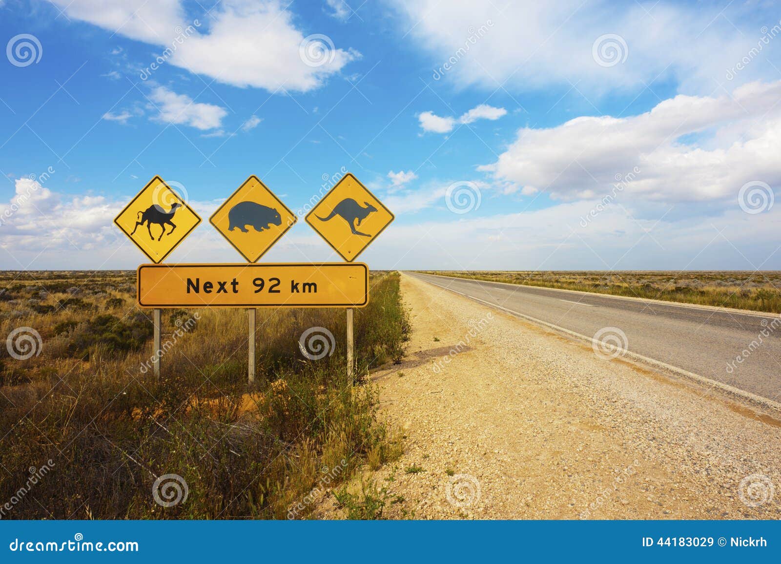 Australian Animals Road Sign Stock Image - Image of plain, remote: 44183029