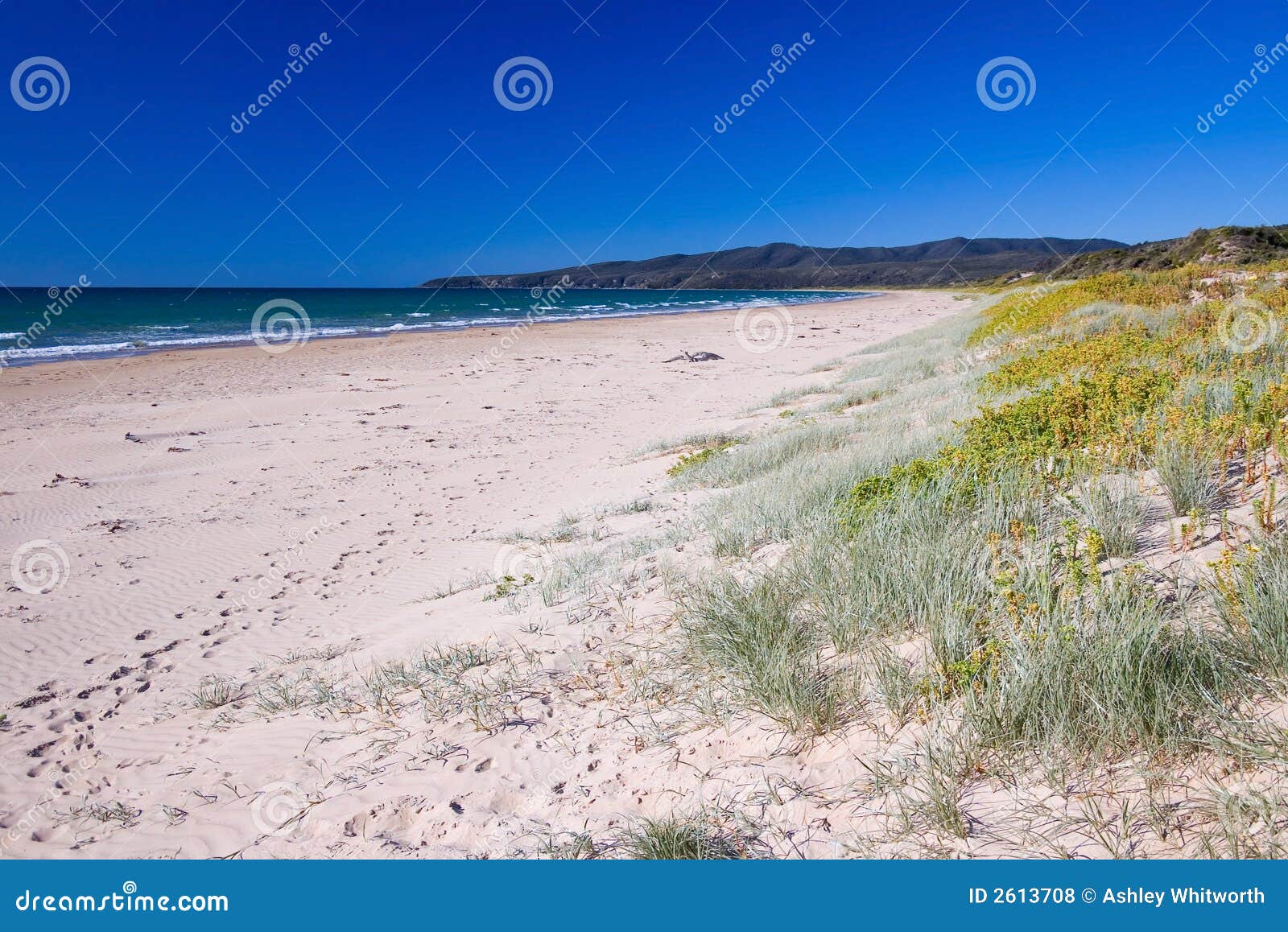 Australian Beach And Ocean Landscape. Royalty-Free Stock Photo ...