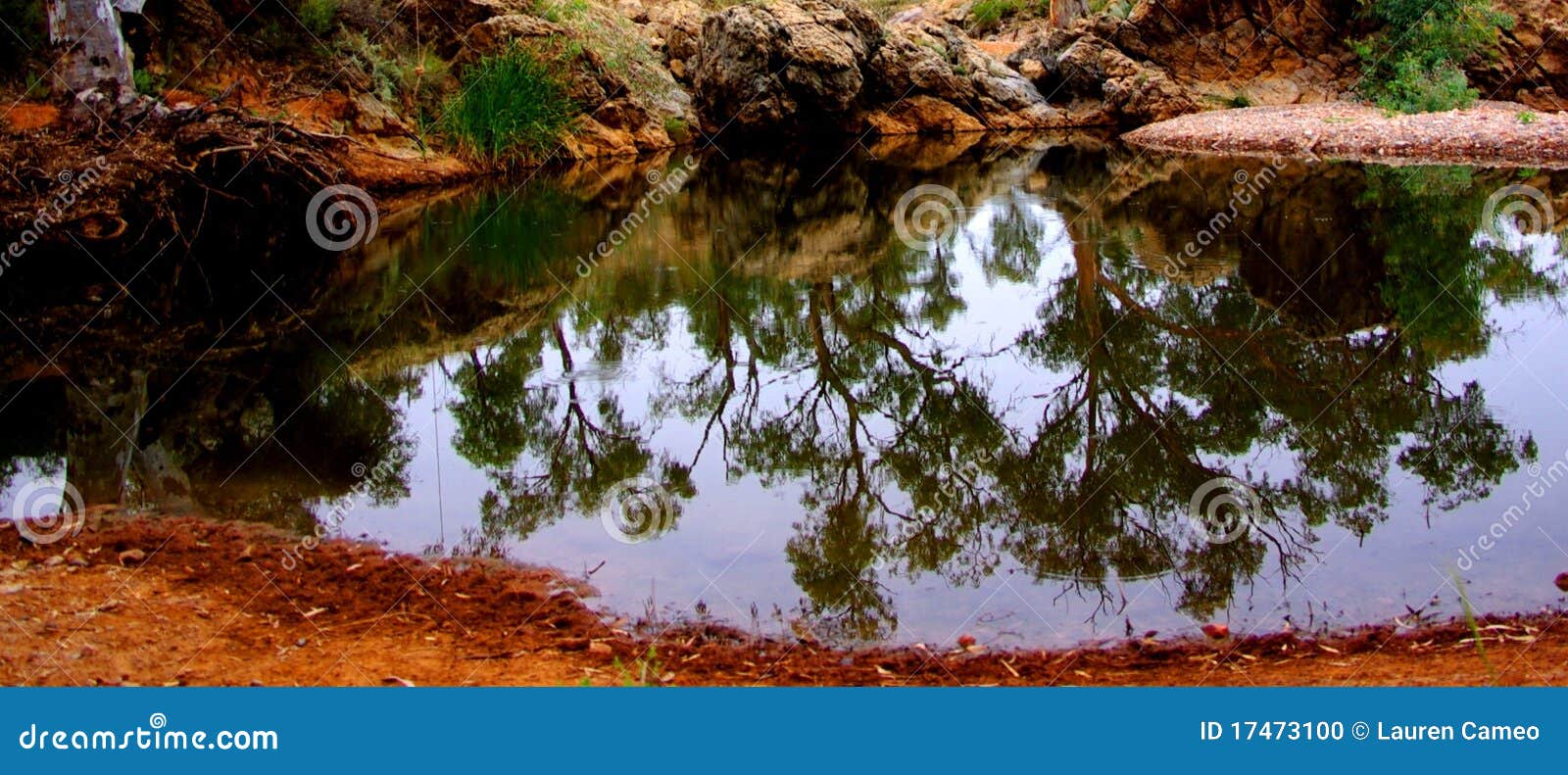 Australian Billabong stock photo. Image of kanyaka, south - 17473100