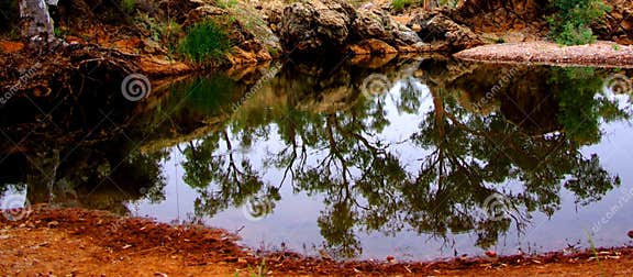 Australian Billabong stock photo. Image of kanyaka, south - 17473100