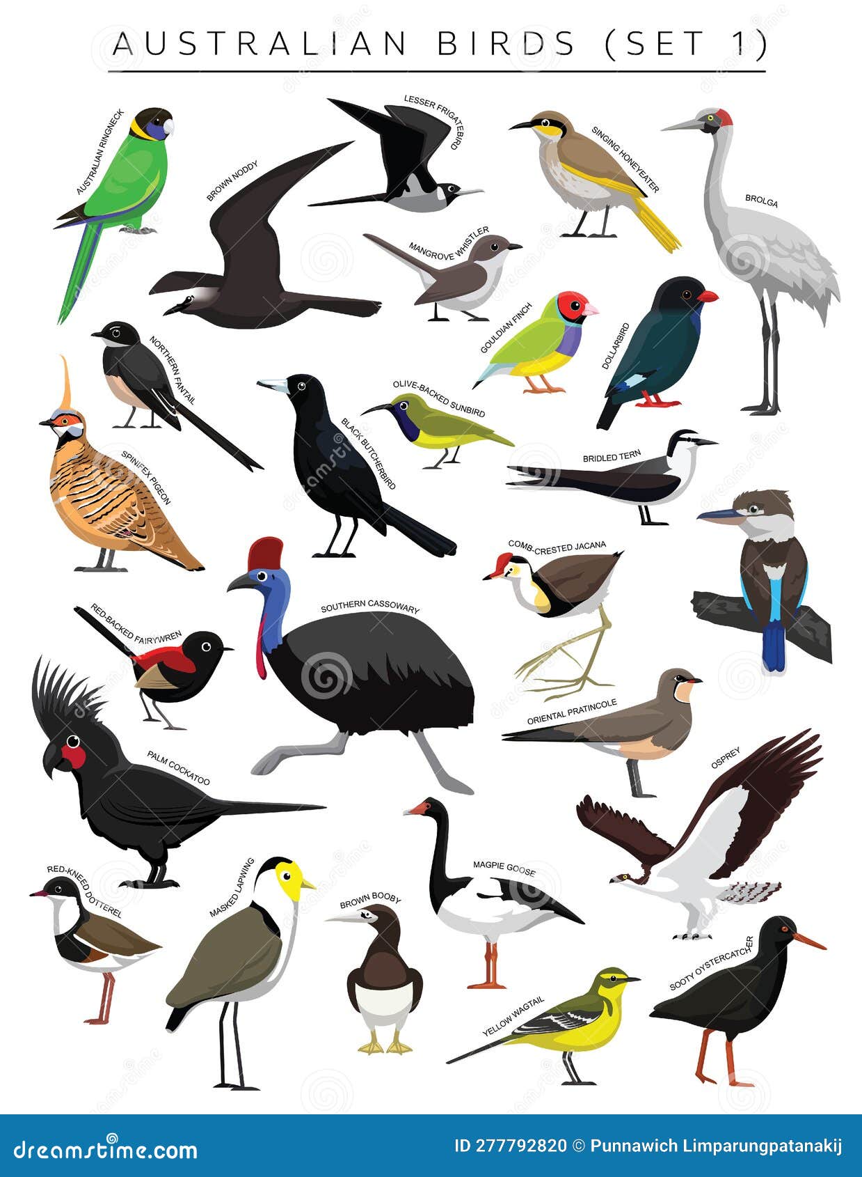 Australian Birds Set Cartoon Vector Character 1 Stock Vector ...