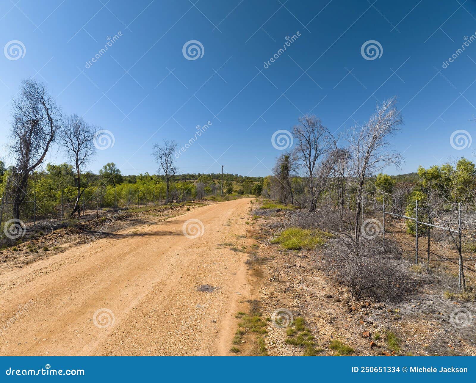 Australian Bush Dirt Road stock photo. Image of natural - 250651334