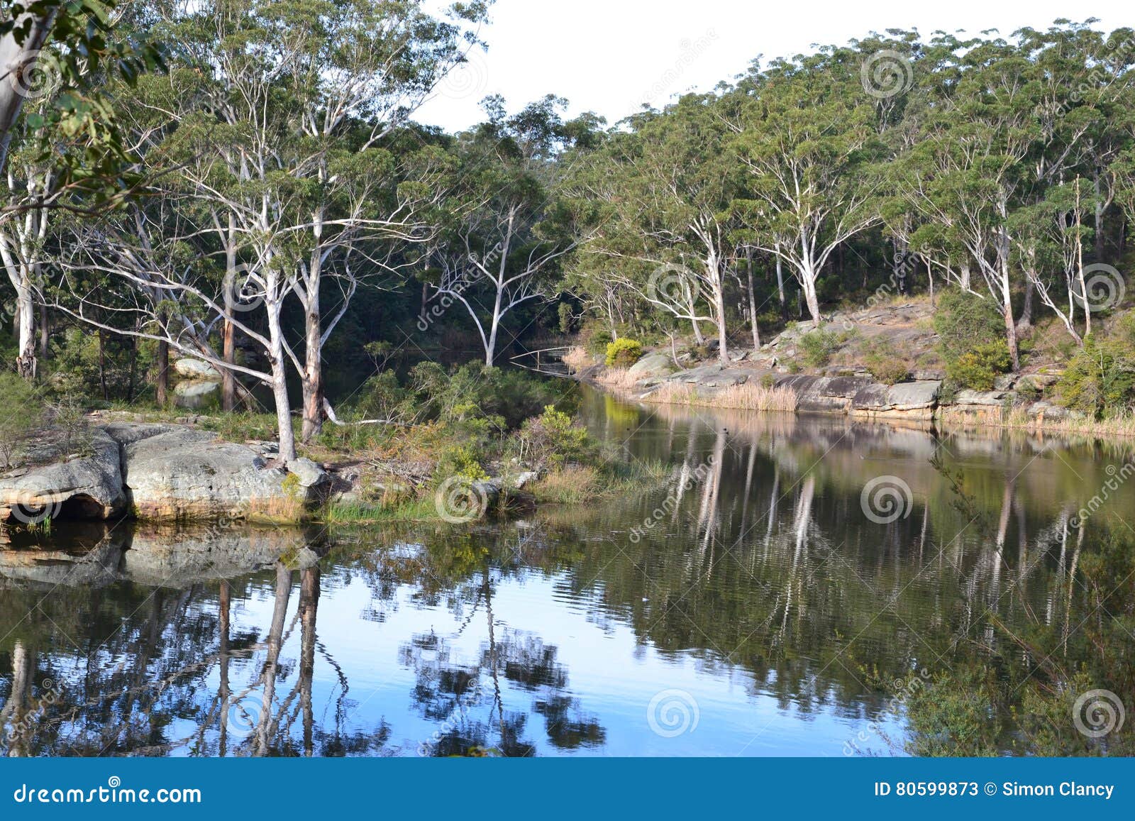 Australian Bush Setting stock image. Image of nature - 80599873