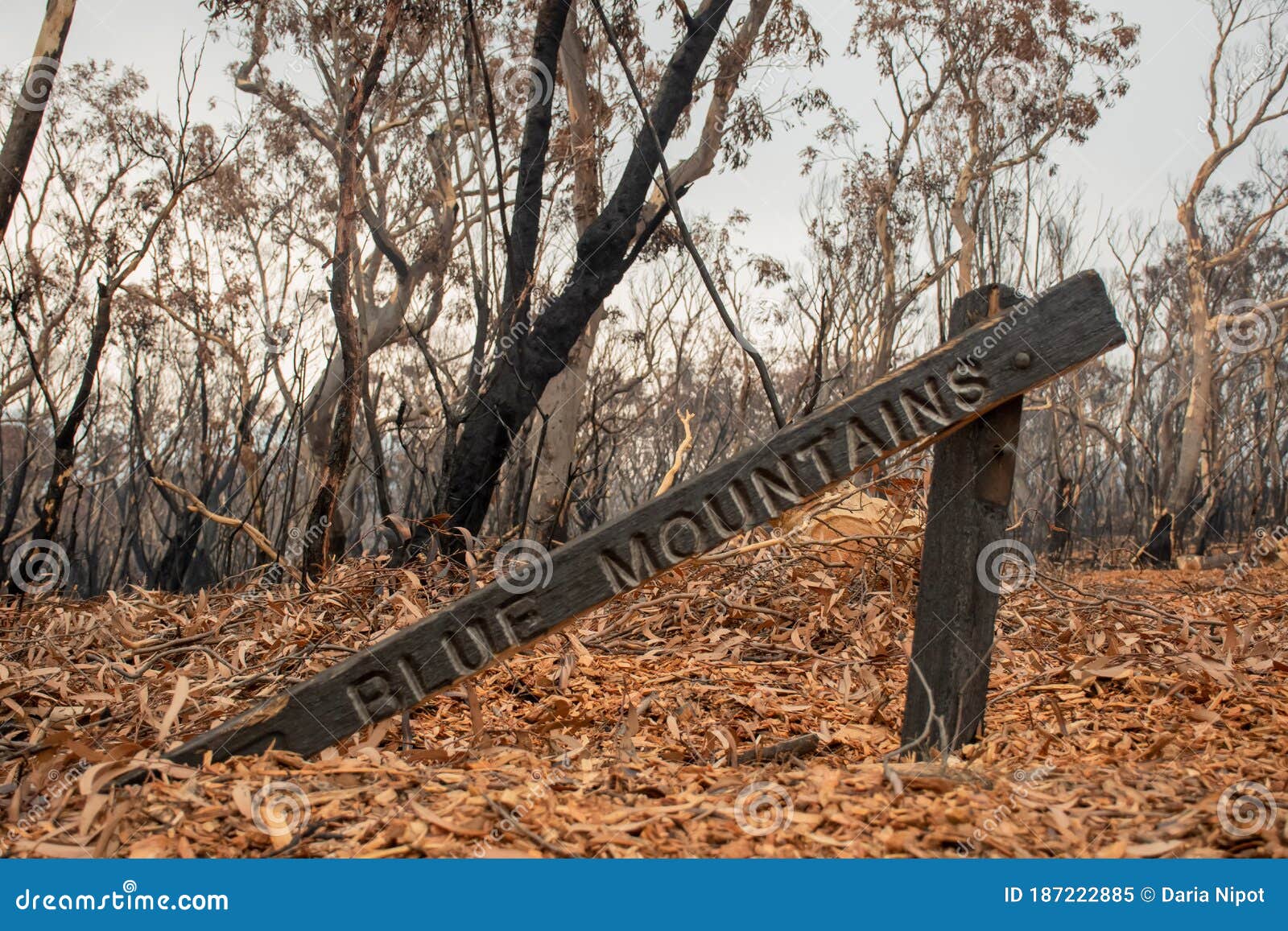 Burnt Blue Mountains Road Sign Stock Image - Image of ecology ...