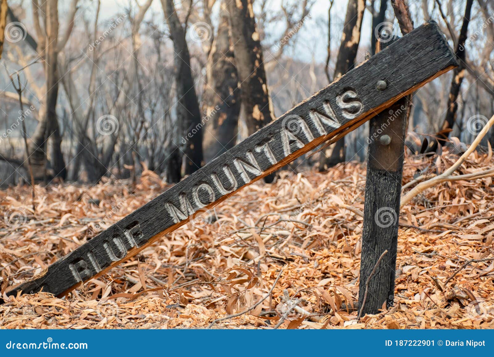 Burnt Blue Mountains Road Sign Stock Image - Image of fires, landscape ...