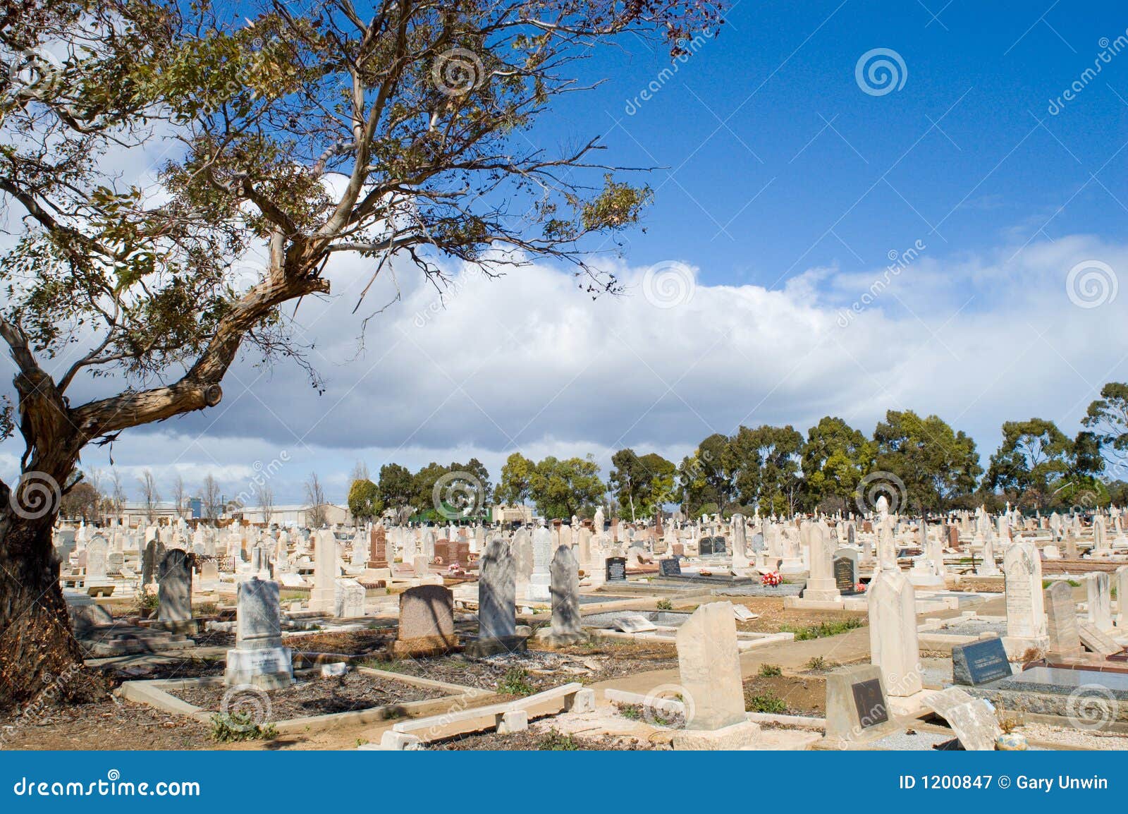Australian Cemetery stock image. Image of memory, dead - 1200847