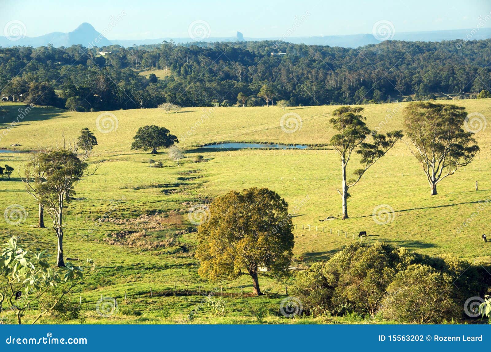 Australian countryside stock photo. Image of landscape - 15563202