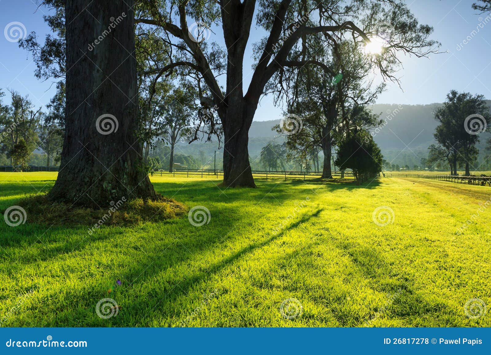 Australian countryside stock photo. Image of nature, tree - 26817278