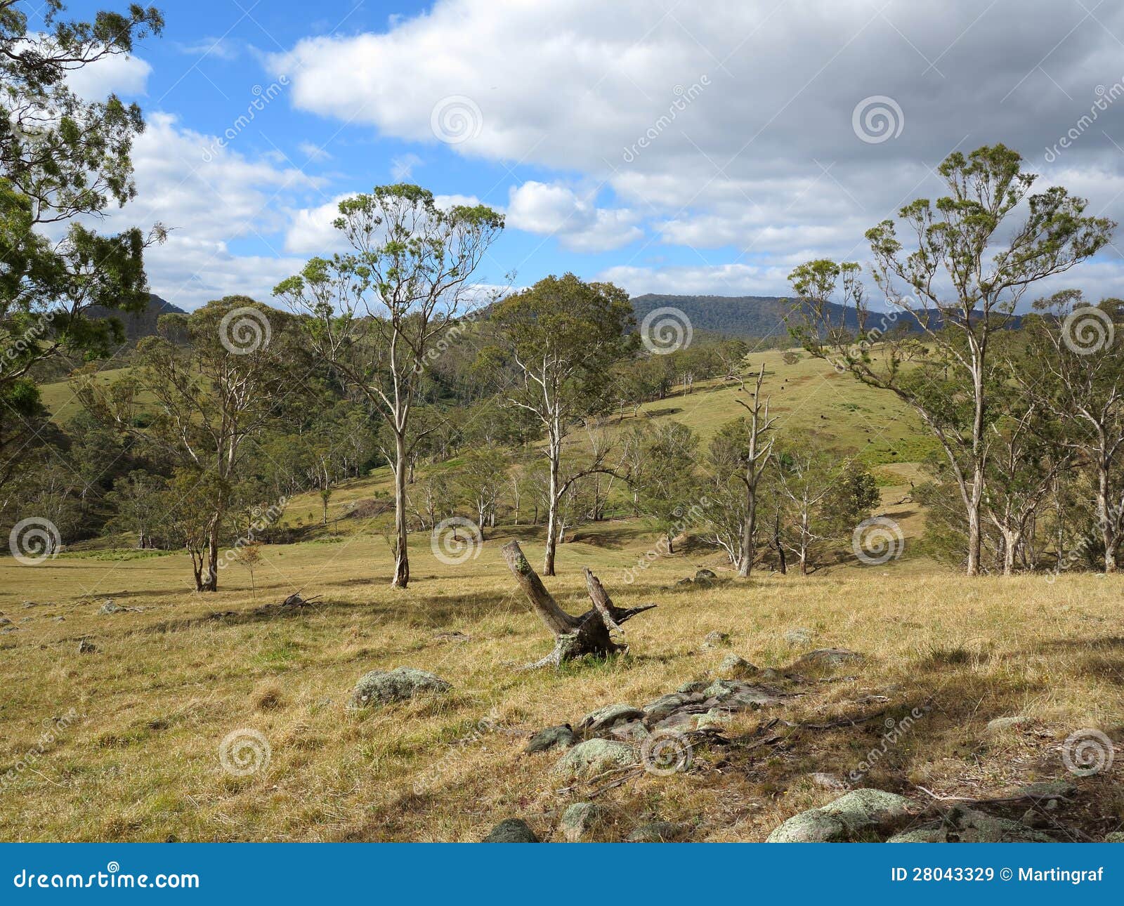 Australian Countryside Landscape Stock Image - Image of grass, fields ...
