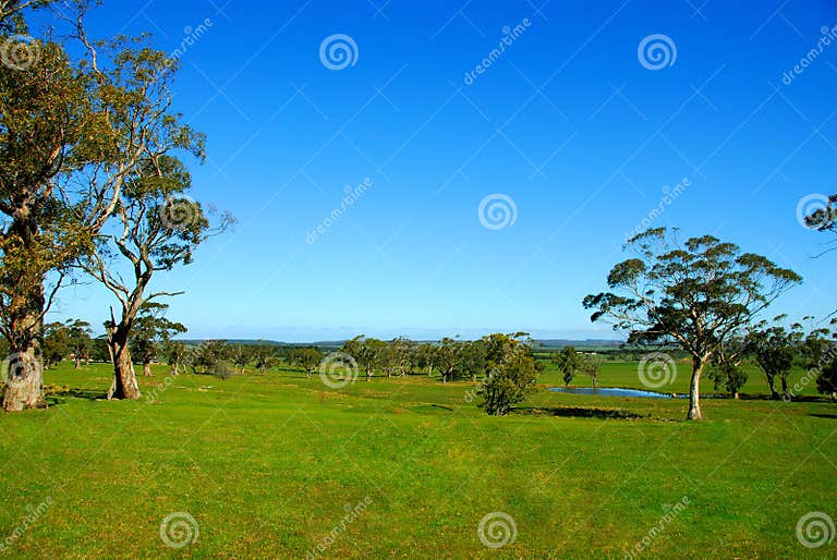 Australian countryside. stock photo. Image of landscape - 7827748