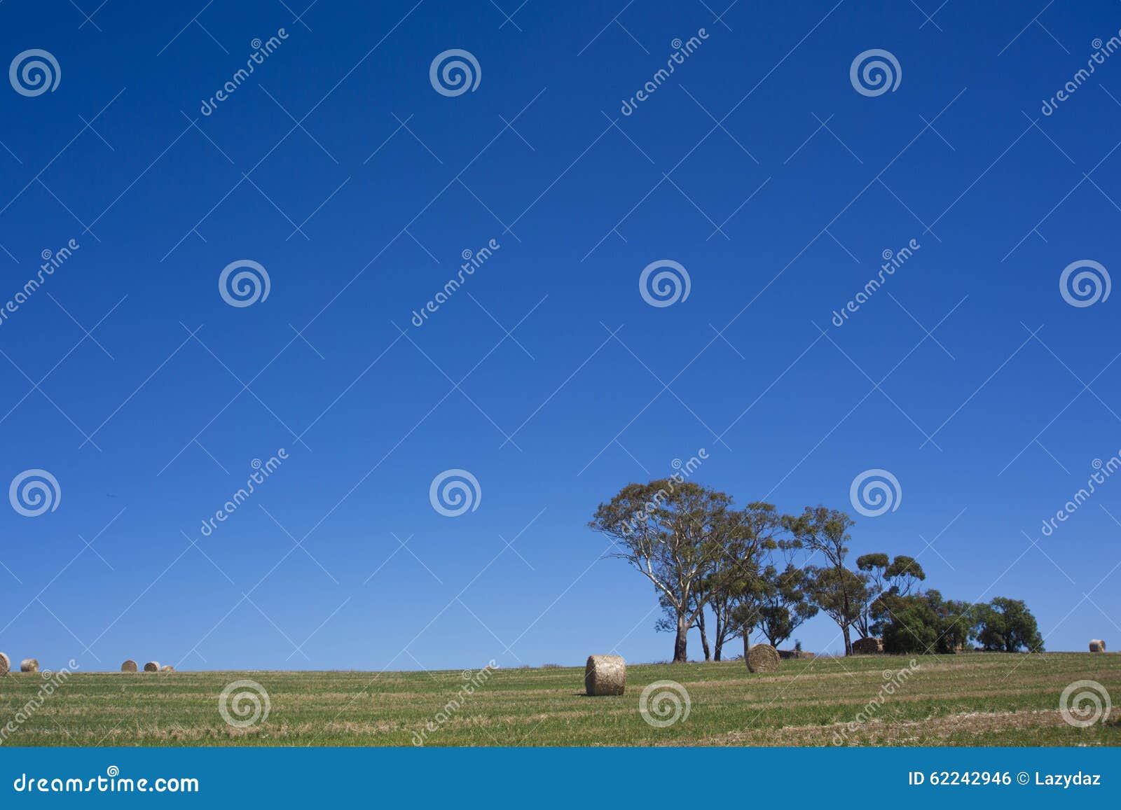 Australian countryside stock photo. Image of trees, south - 62242946