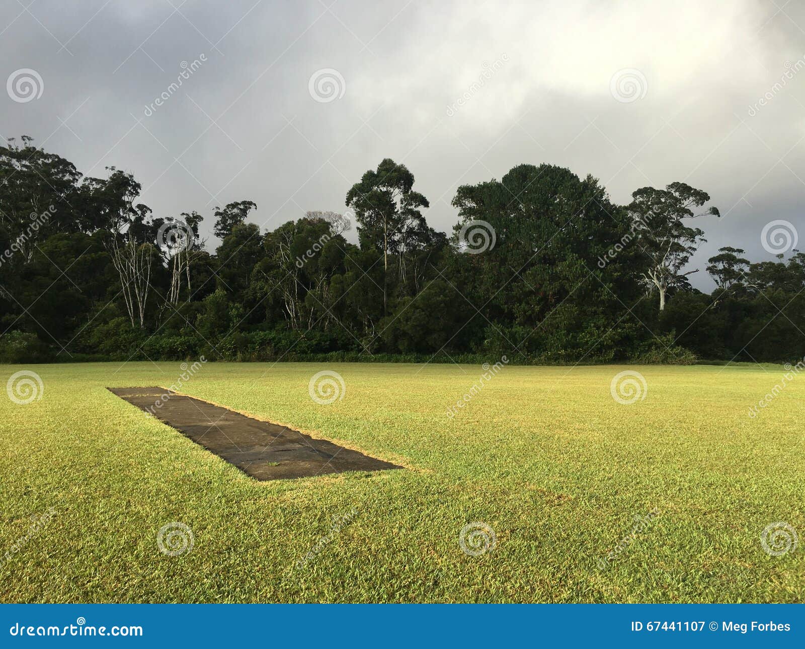Australian cricket pitch stock image. Image of mountain - 67441107